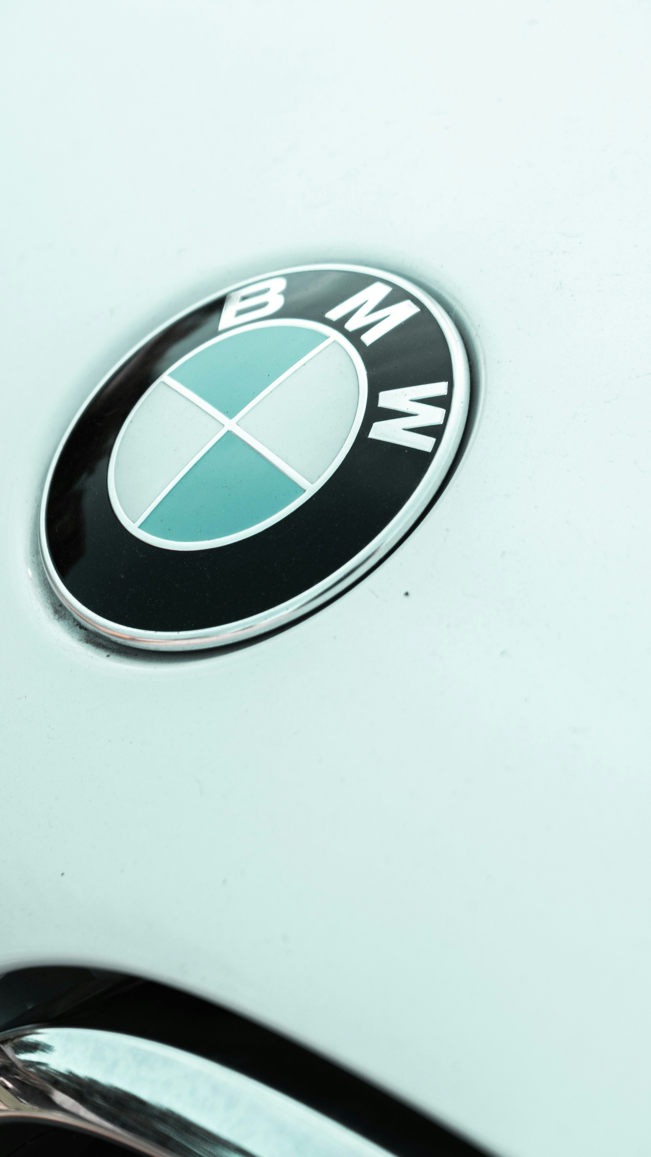 Emblem in Focus: BMW Badge on Painted Surface