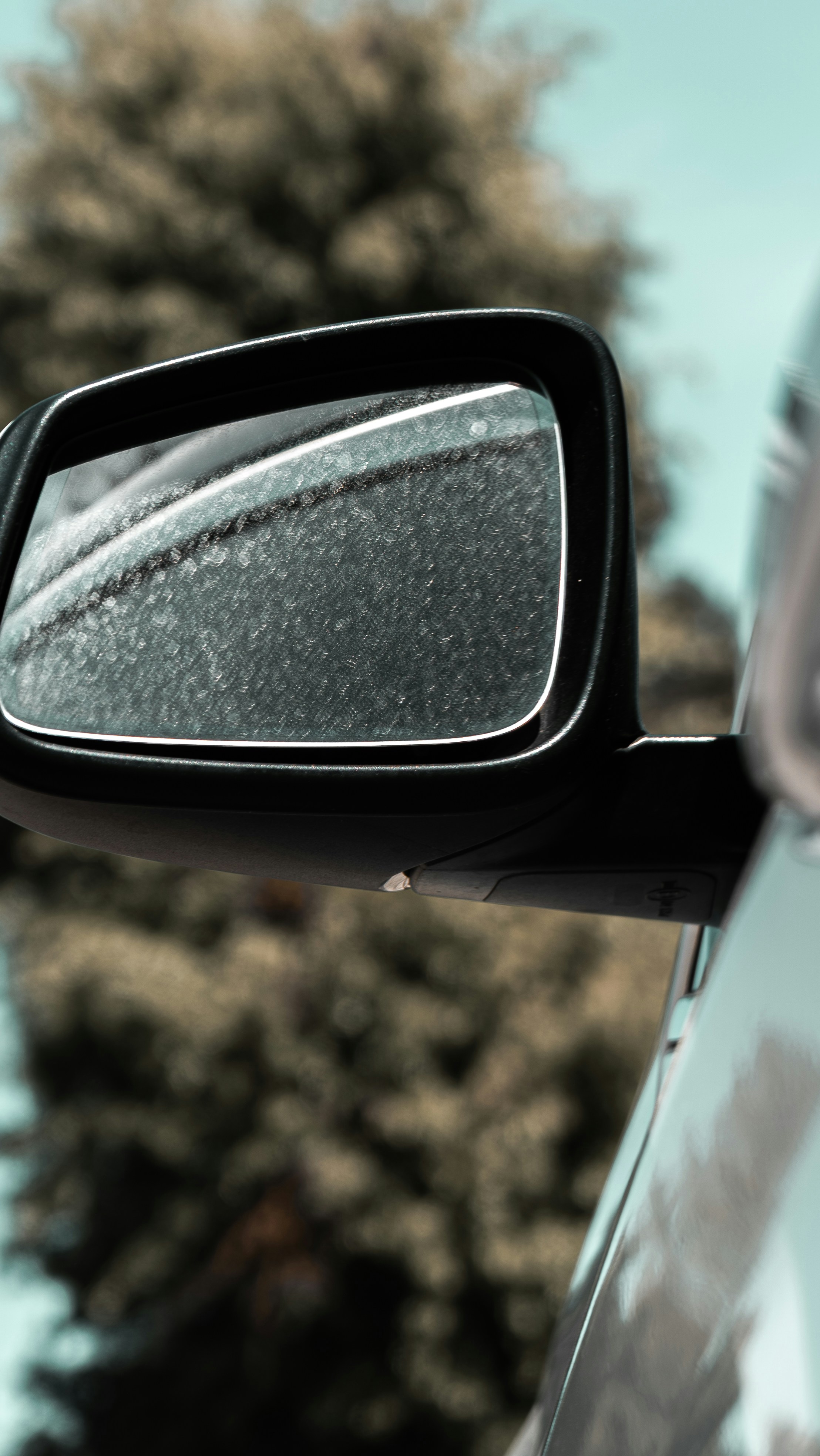 Chromed Side Mirror: A Quiet Snapshot of Motion and Light