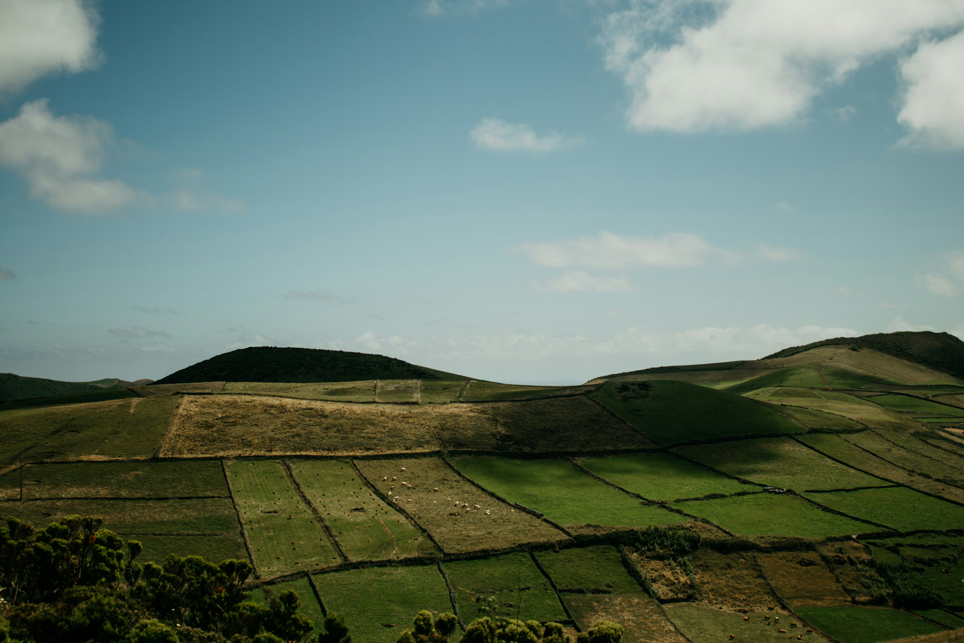 Rolling farmland under a pale blue sky with distant hills