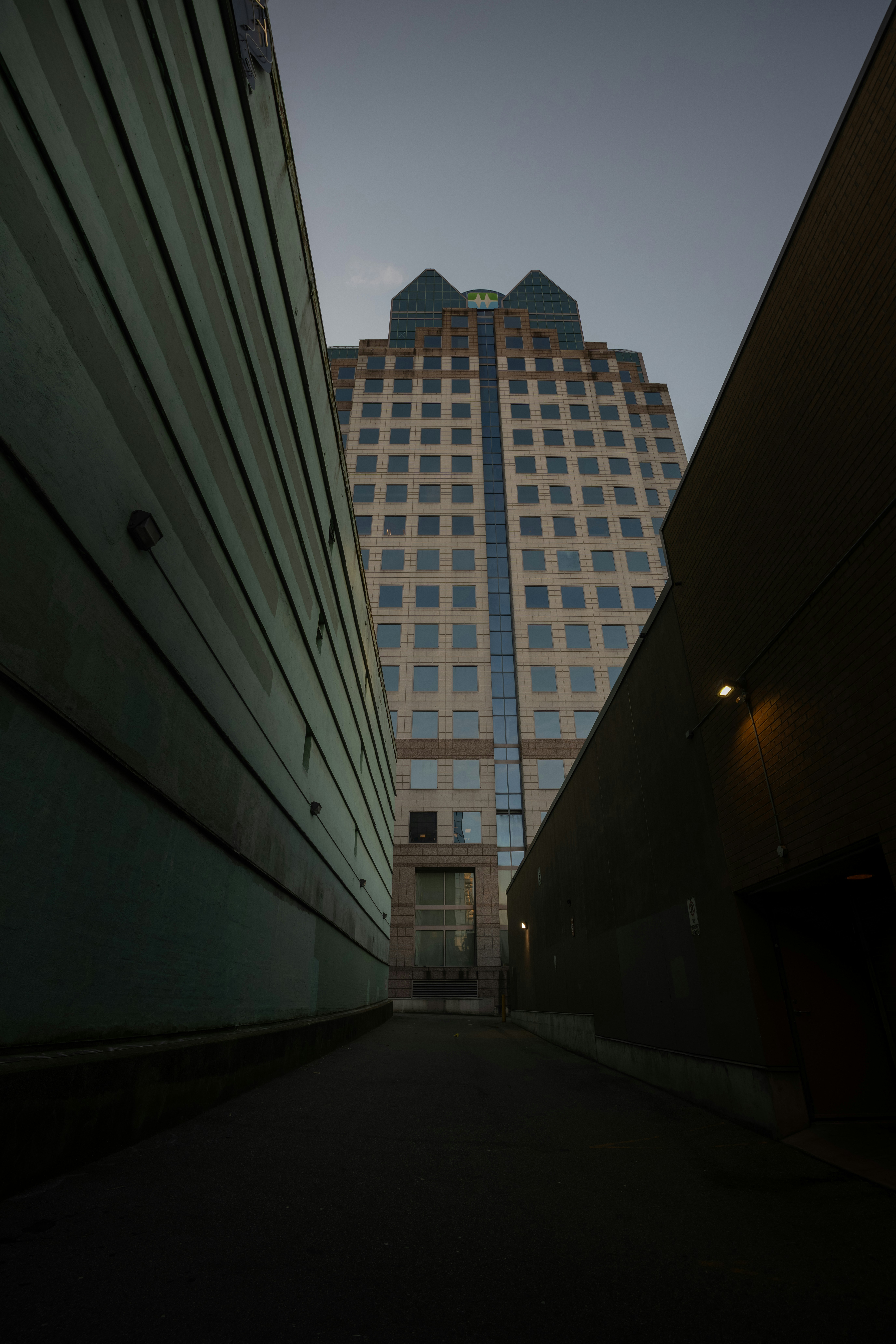 Tunnel Vision: A Skyscraper Emerges Between Narrow Canopies