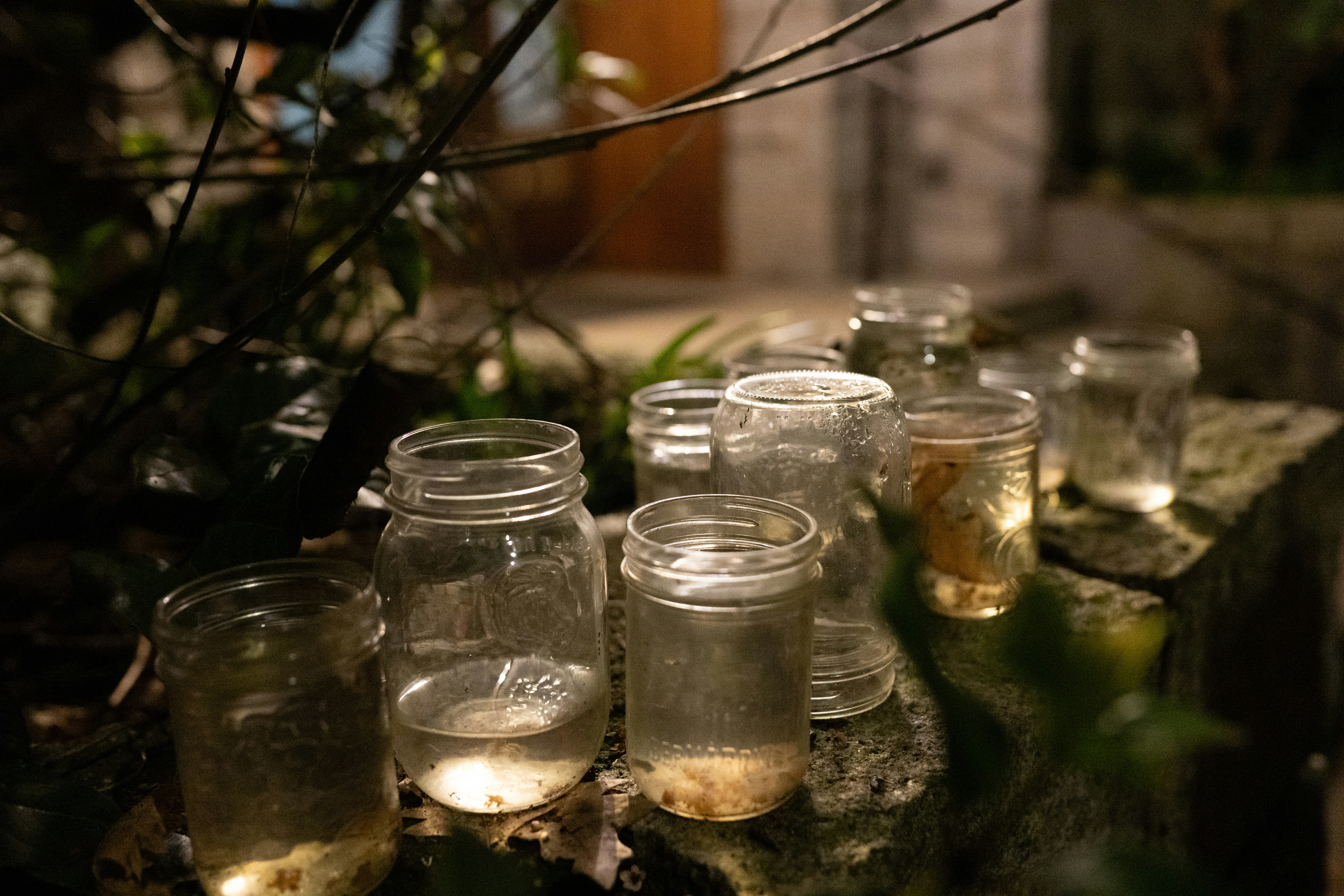 Moonlit Mason Jars: Quiet Row in a Faded Courtyard