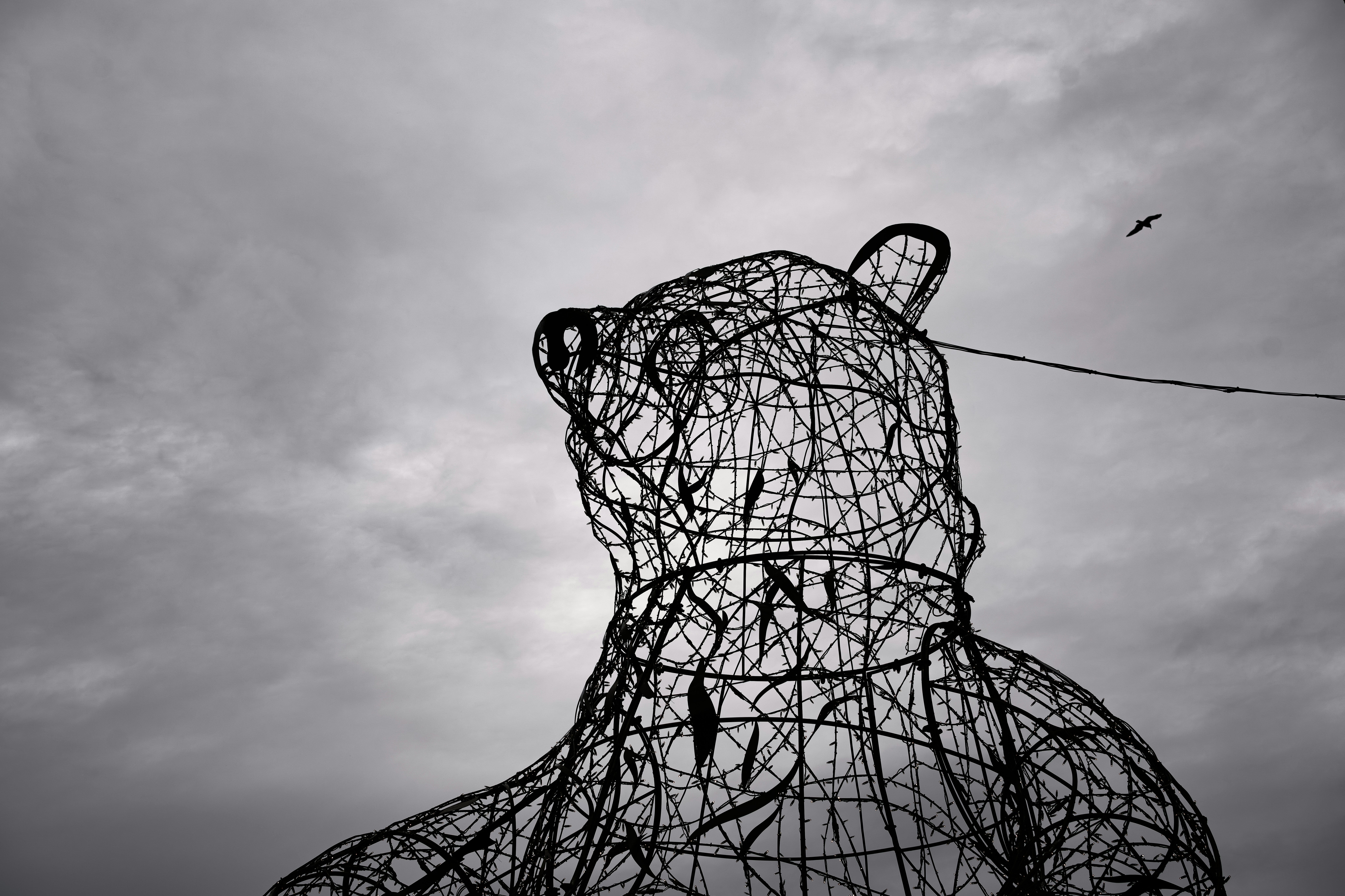 Iron Garden Sentinel: a wire sculpture against a moody sky