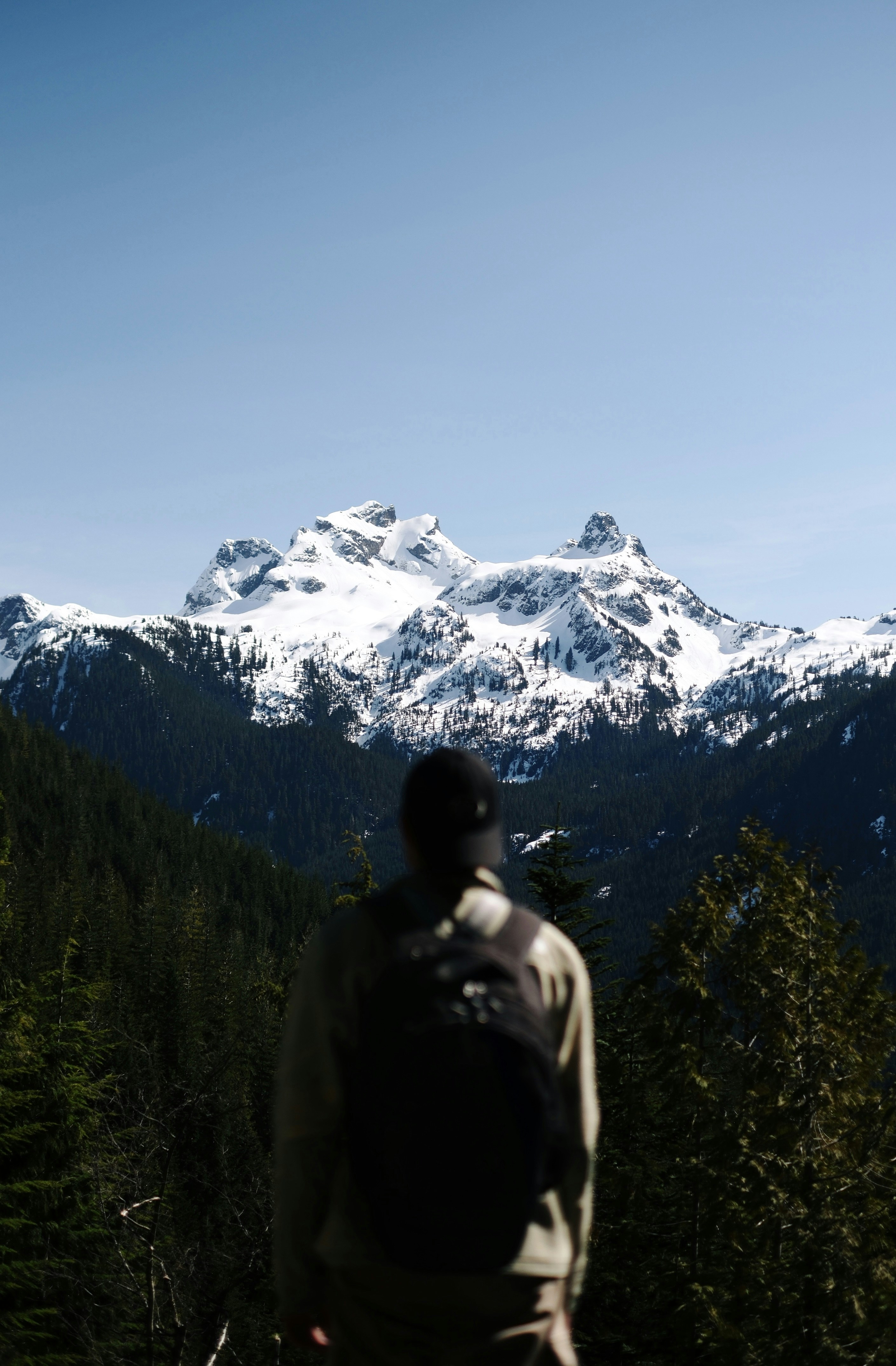 Hiker's Quiet Gaze Toward Snow-Crowned Peaks