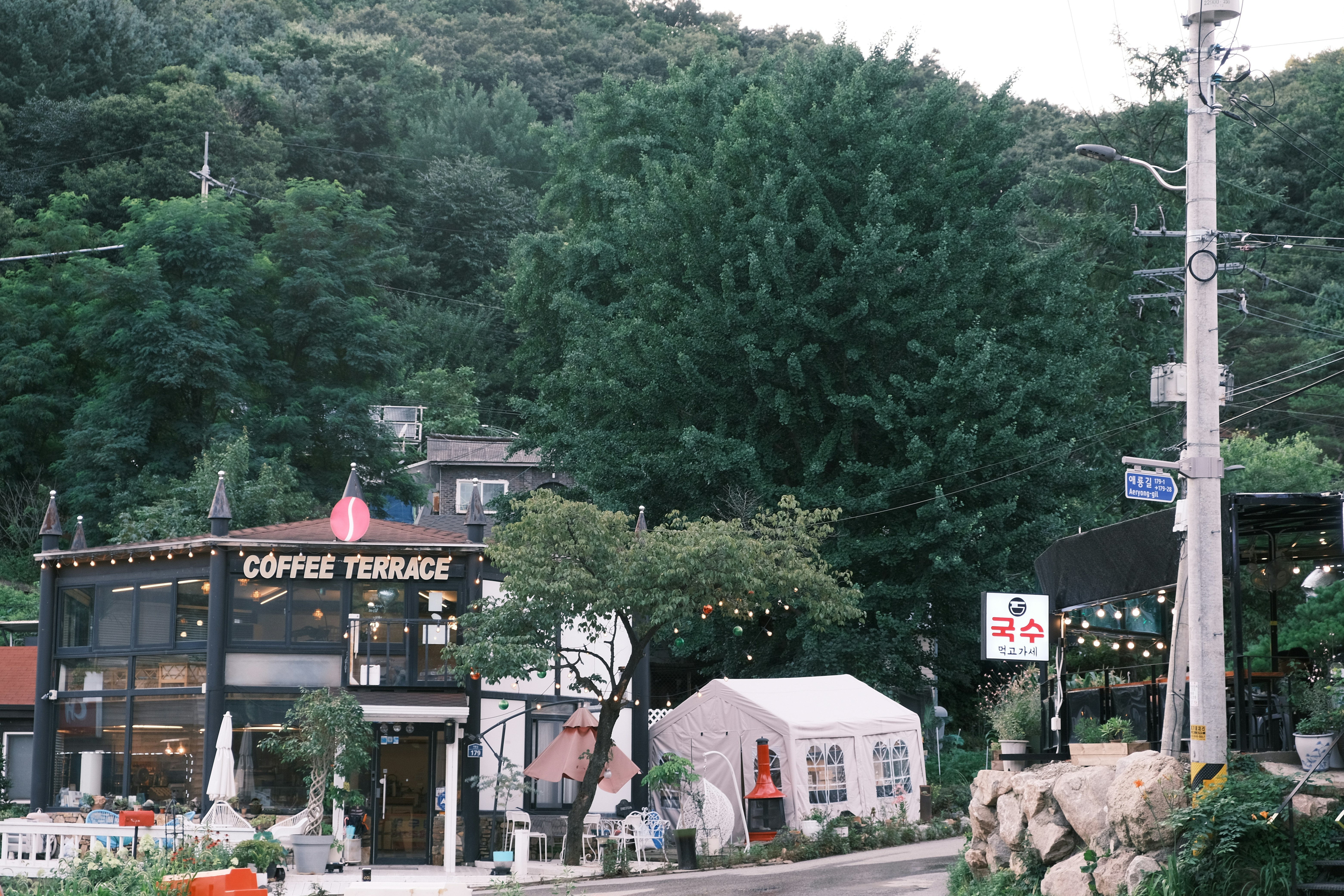 Cottage Café by the Forested Roadside