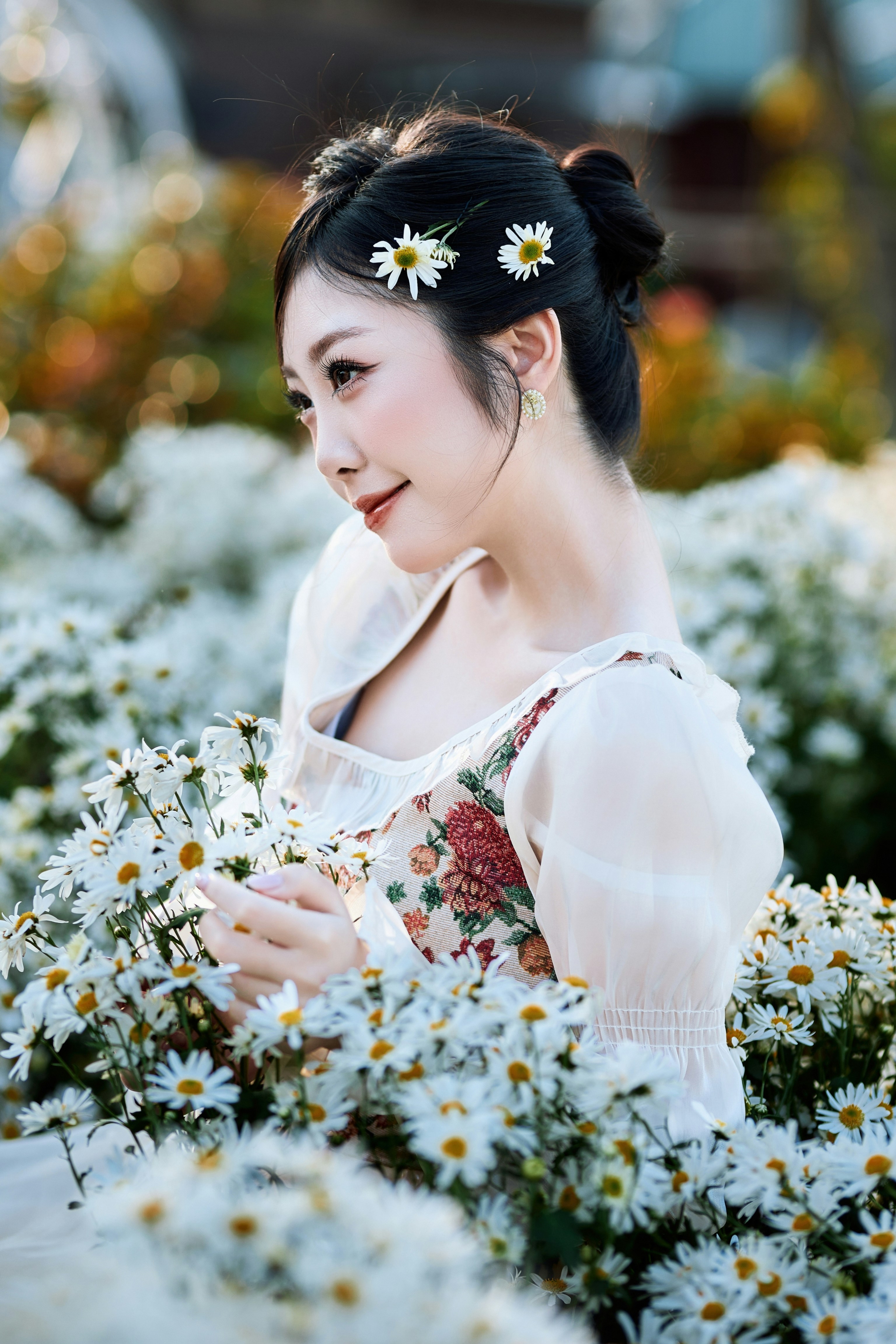 Daisy Crown Serenade