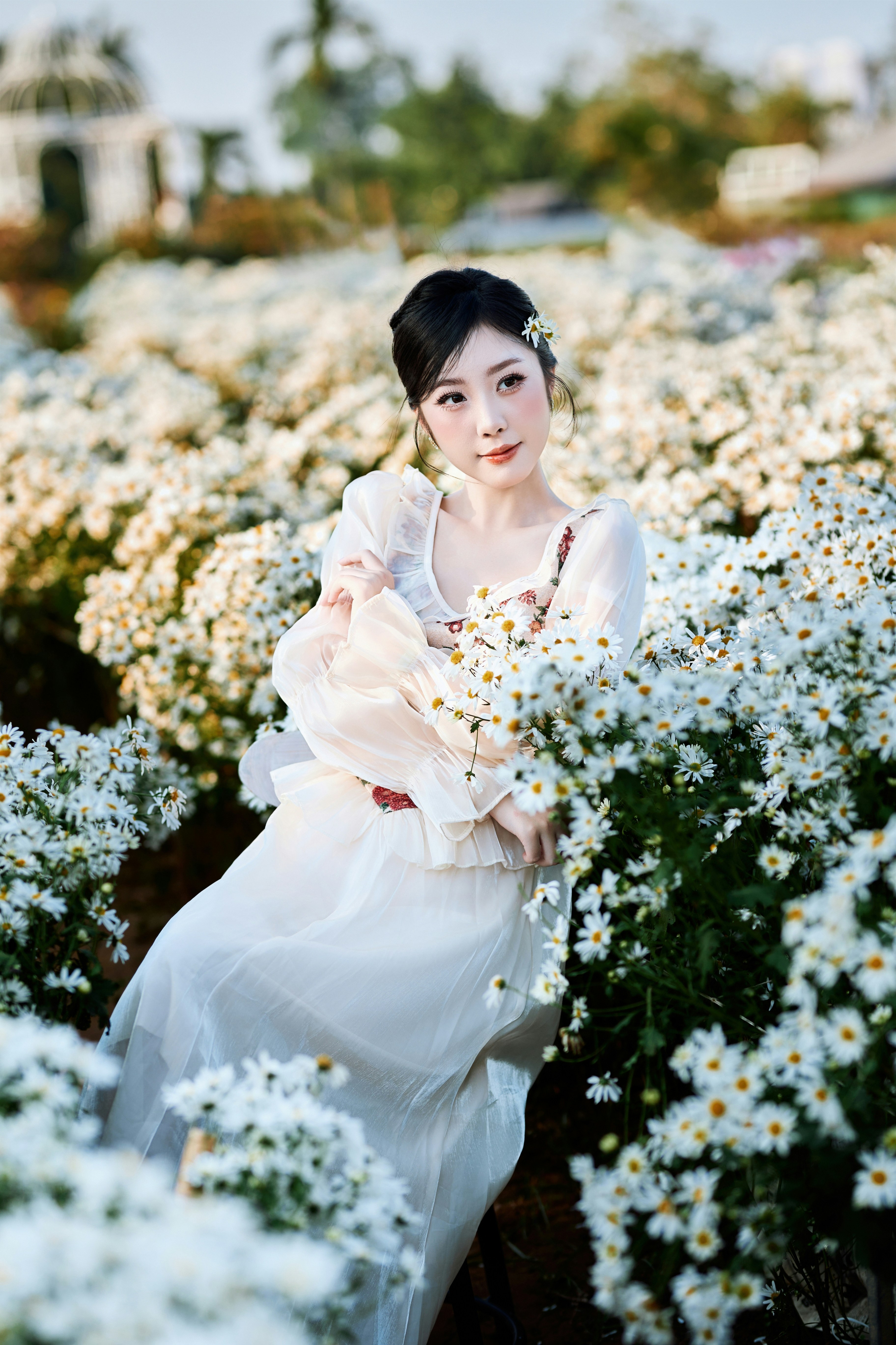 Portrait in a Field of White Daisies