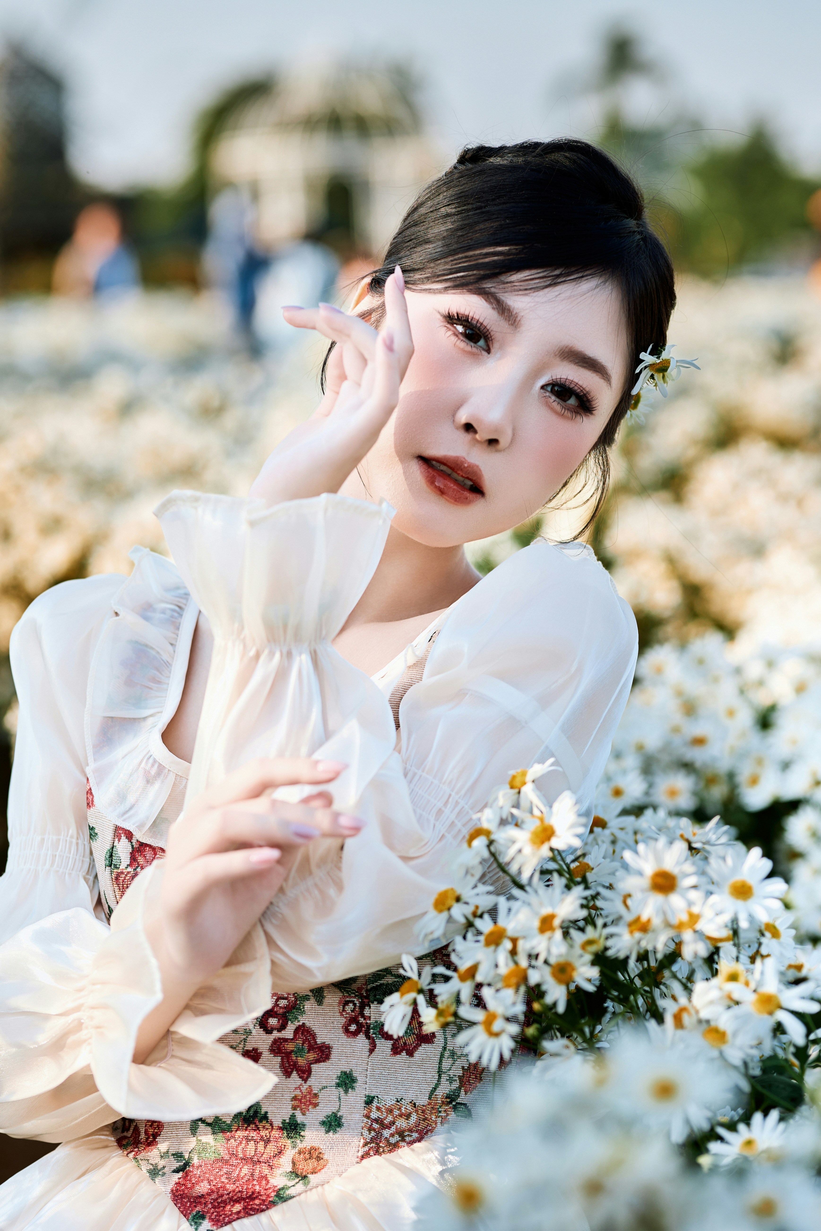 Floral Portrait in a Field of Daisy Light