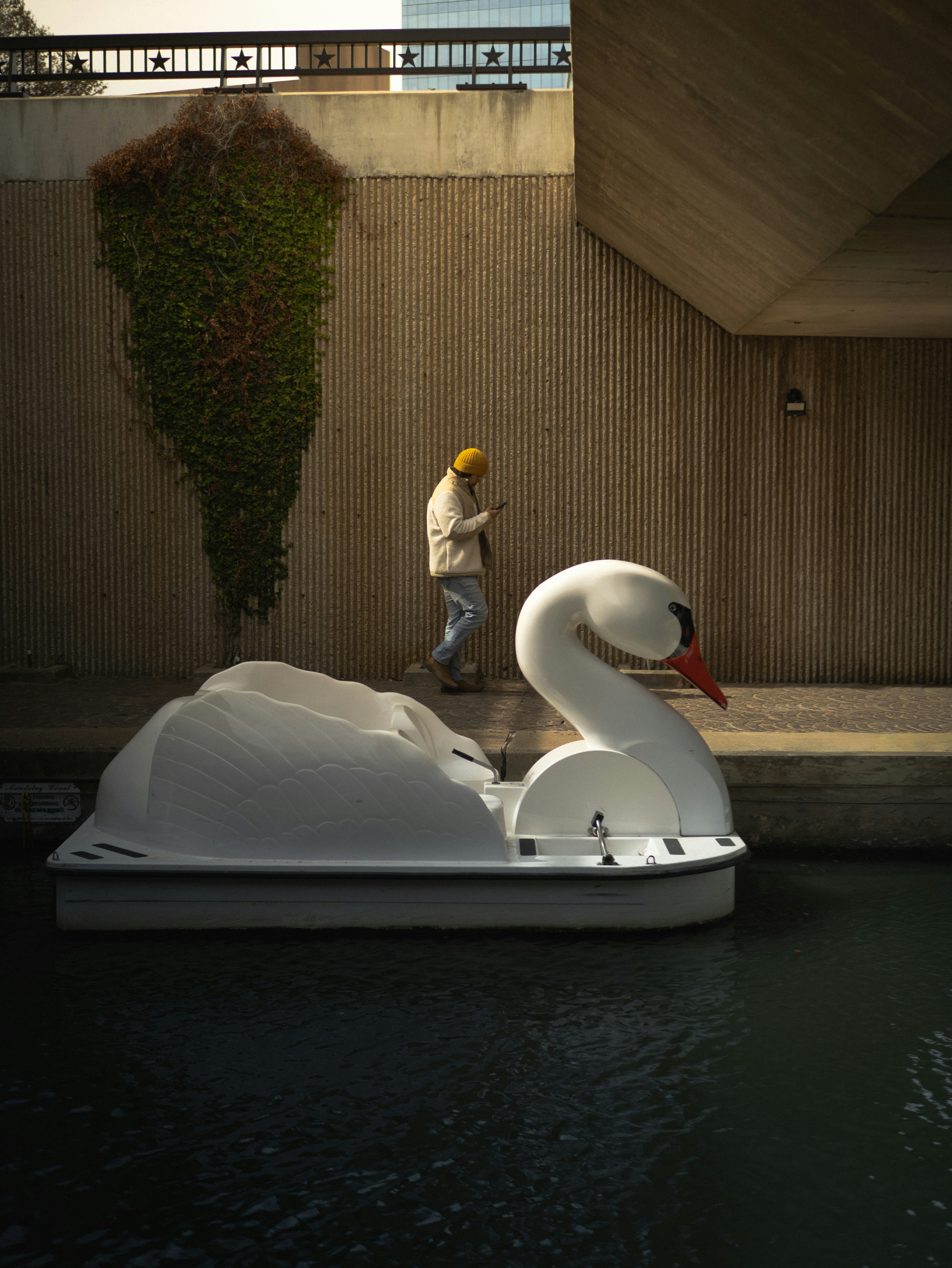 Pedestrian beside a swan boat under urban canopy