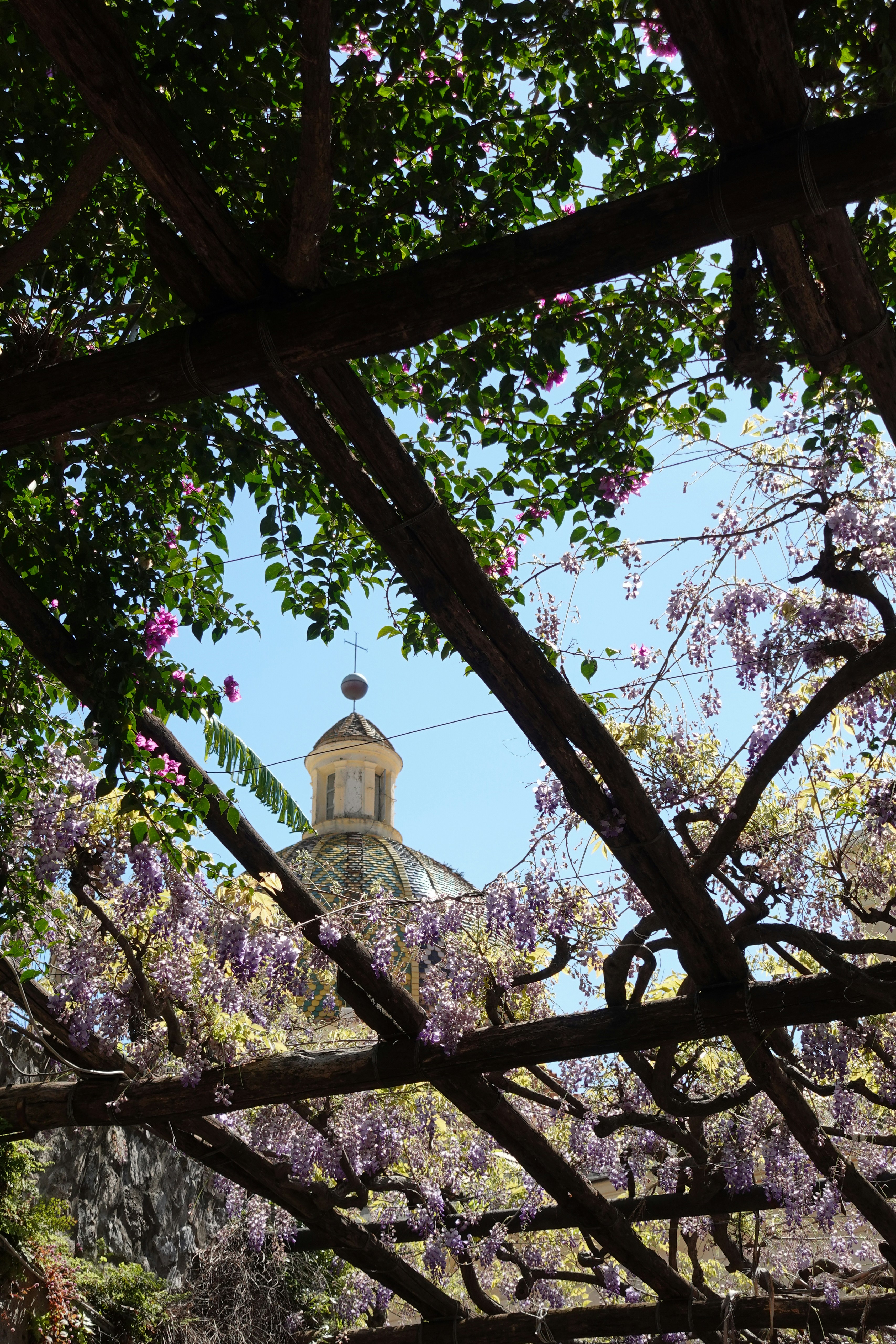 Crisscrossed Arborway: A Dome Peeks Through Blossoms