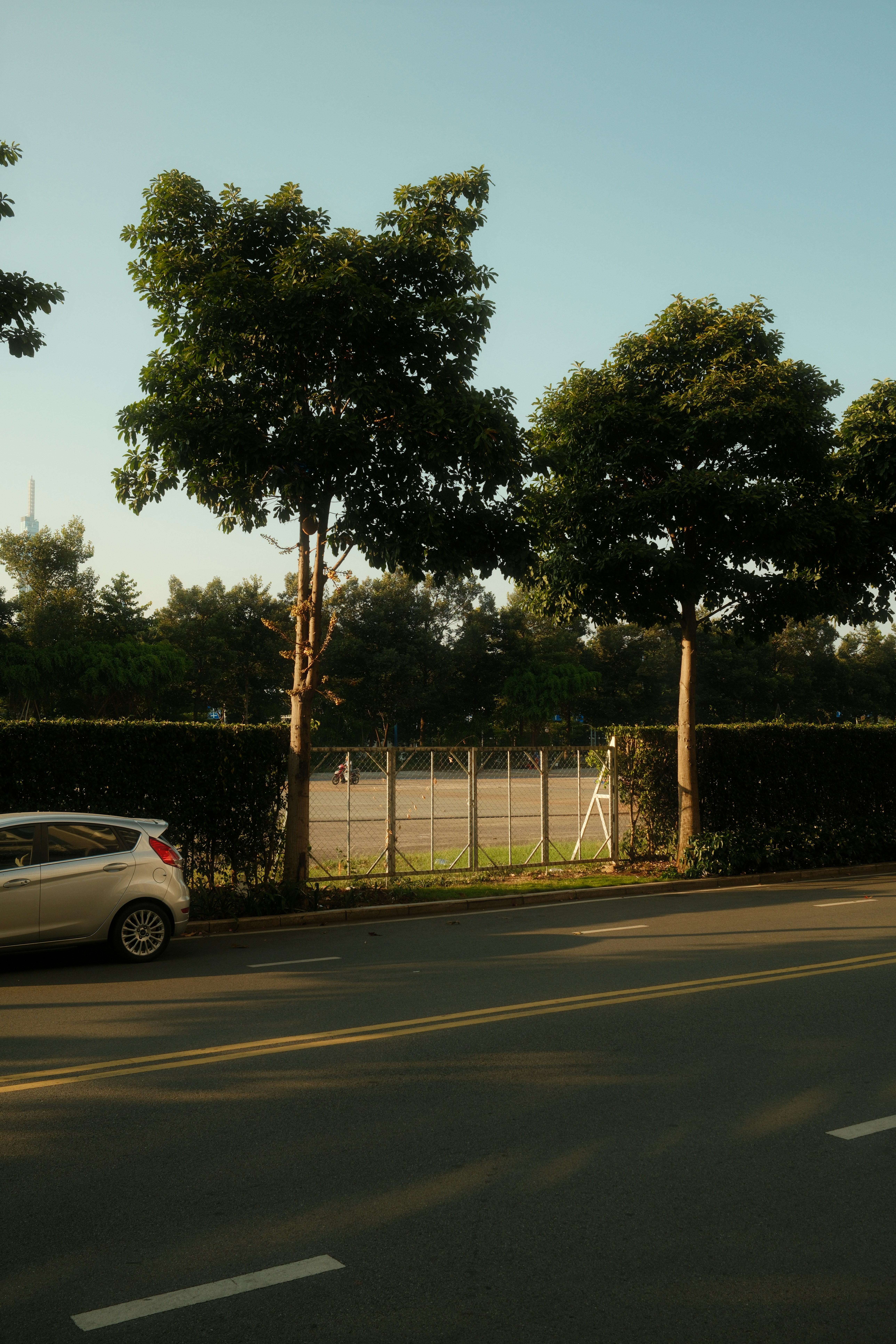 Street-edge Quiet: Trees, Fence, and Quiet Parking on a Sunny Afternoon