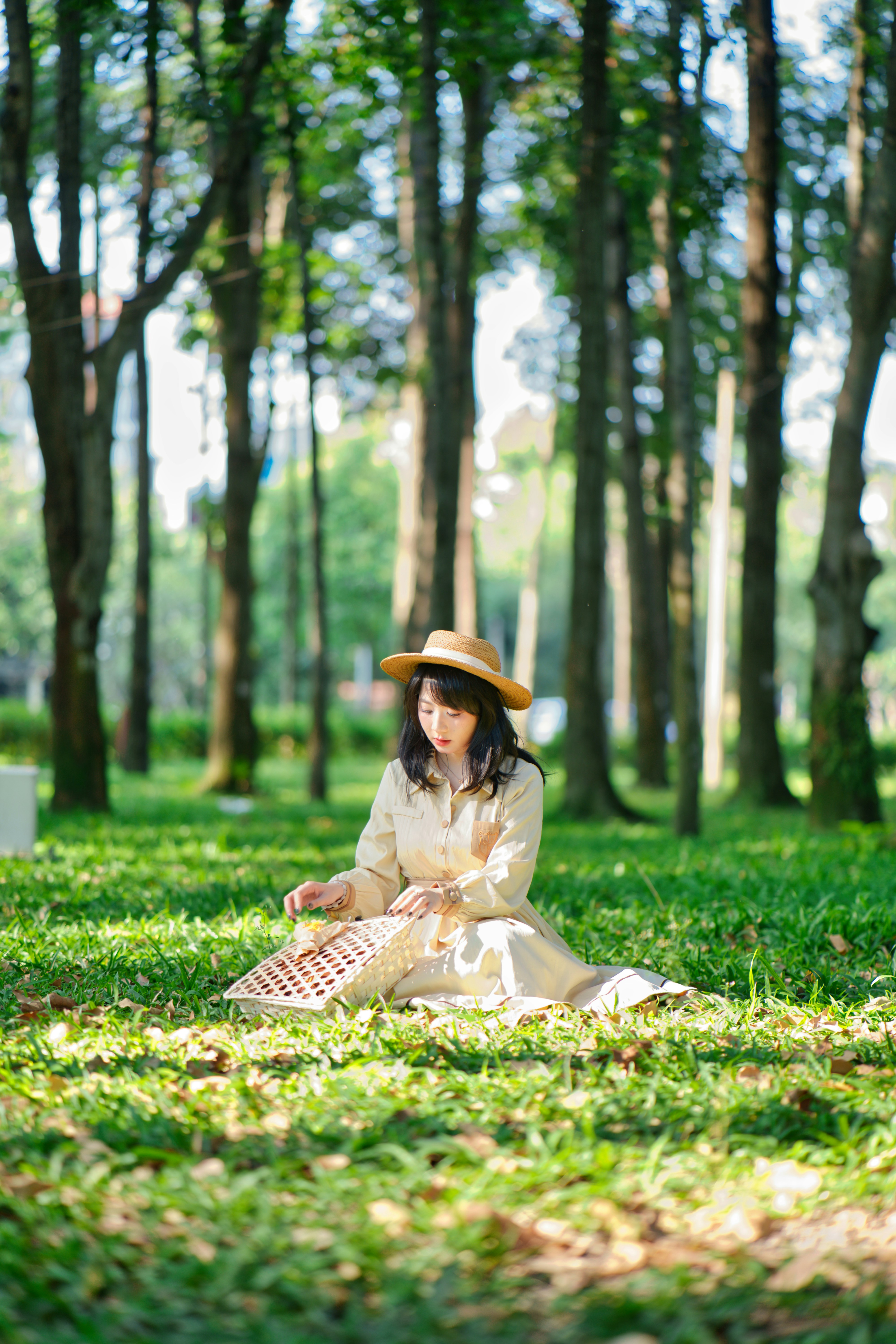 Quiet Moment in the Sunlit Park