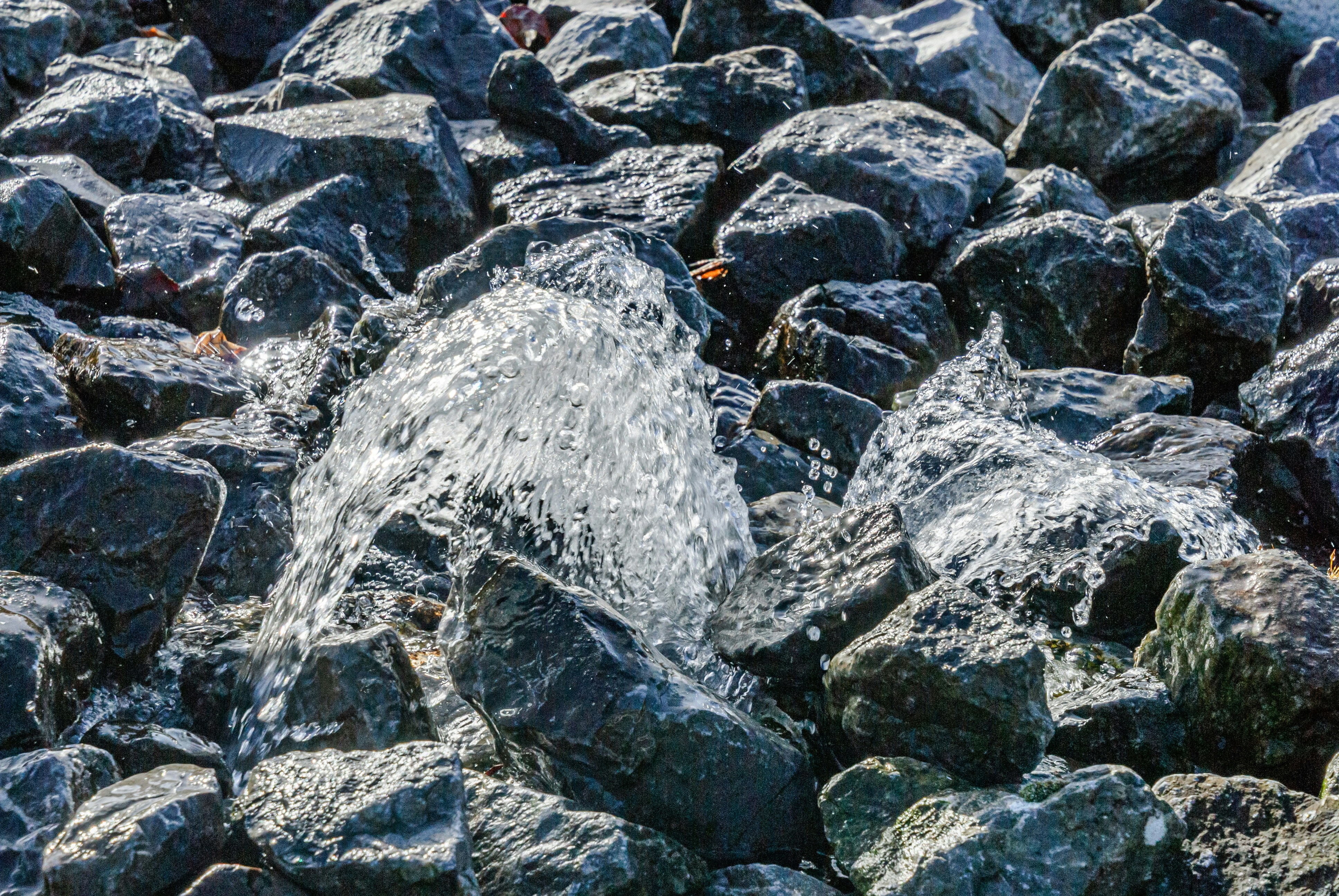 A Spray of Stone and Light: Water Arc Among Coastal Rocks