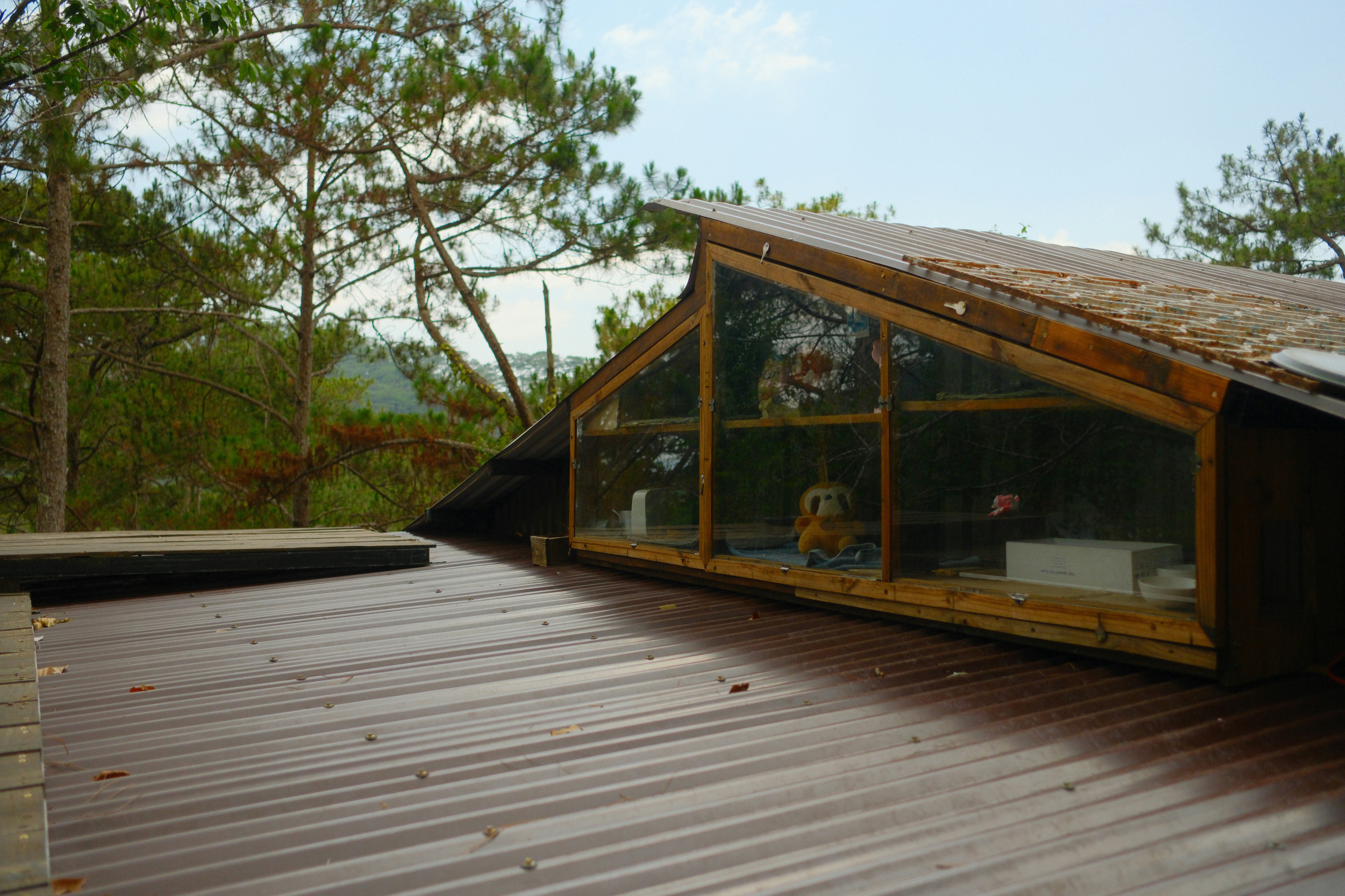 Sunny Rooftop Studio: A Glass-Walled Retreat Amid Pines