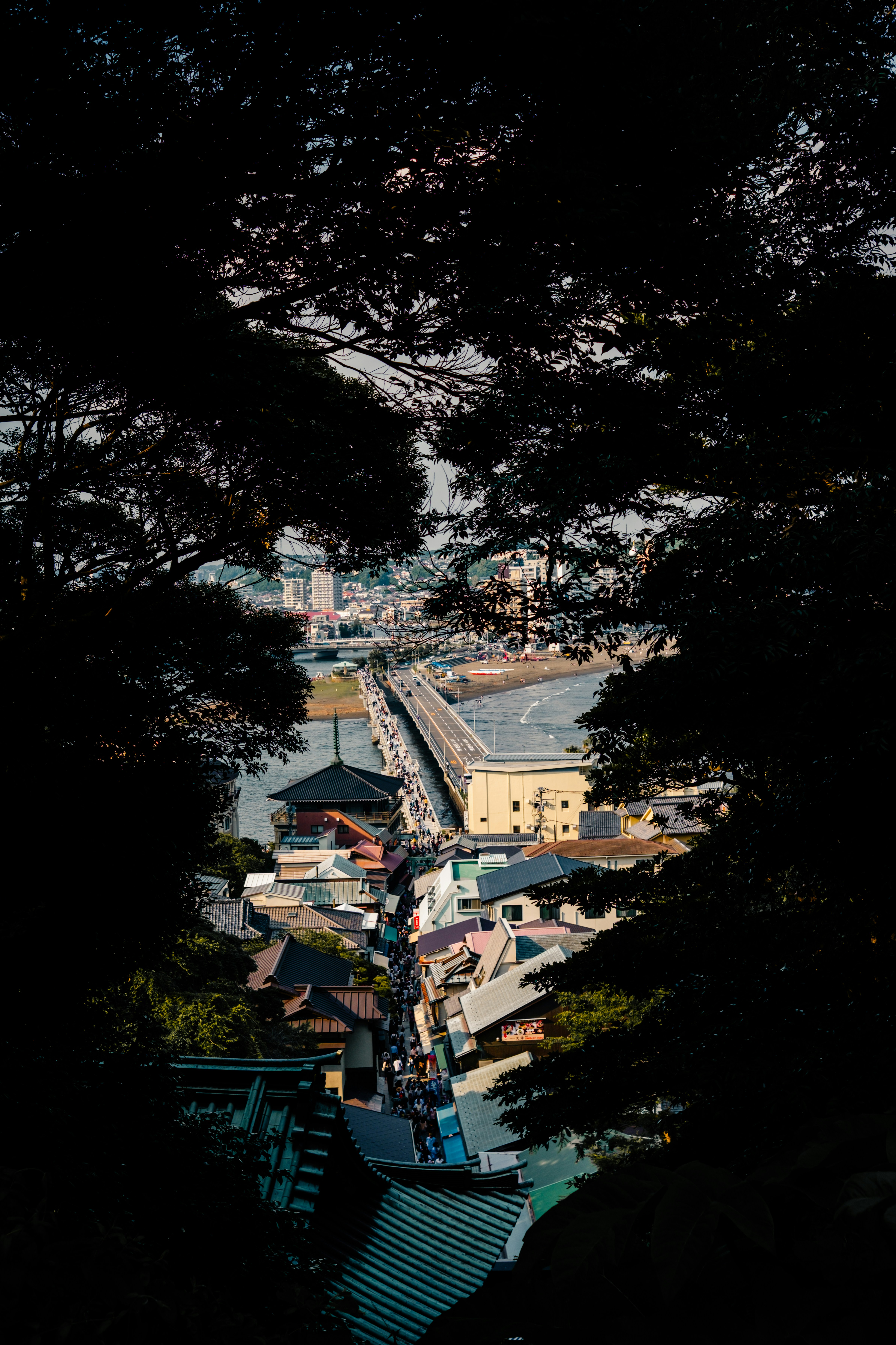 Hidden City Stairway: A Lanterned Descent from the Ridge