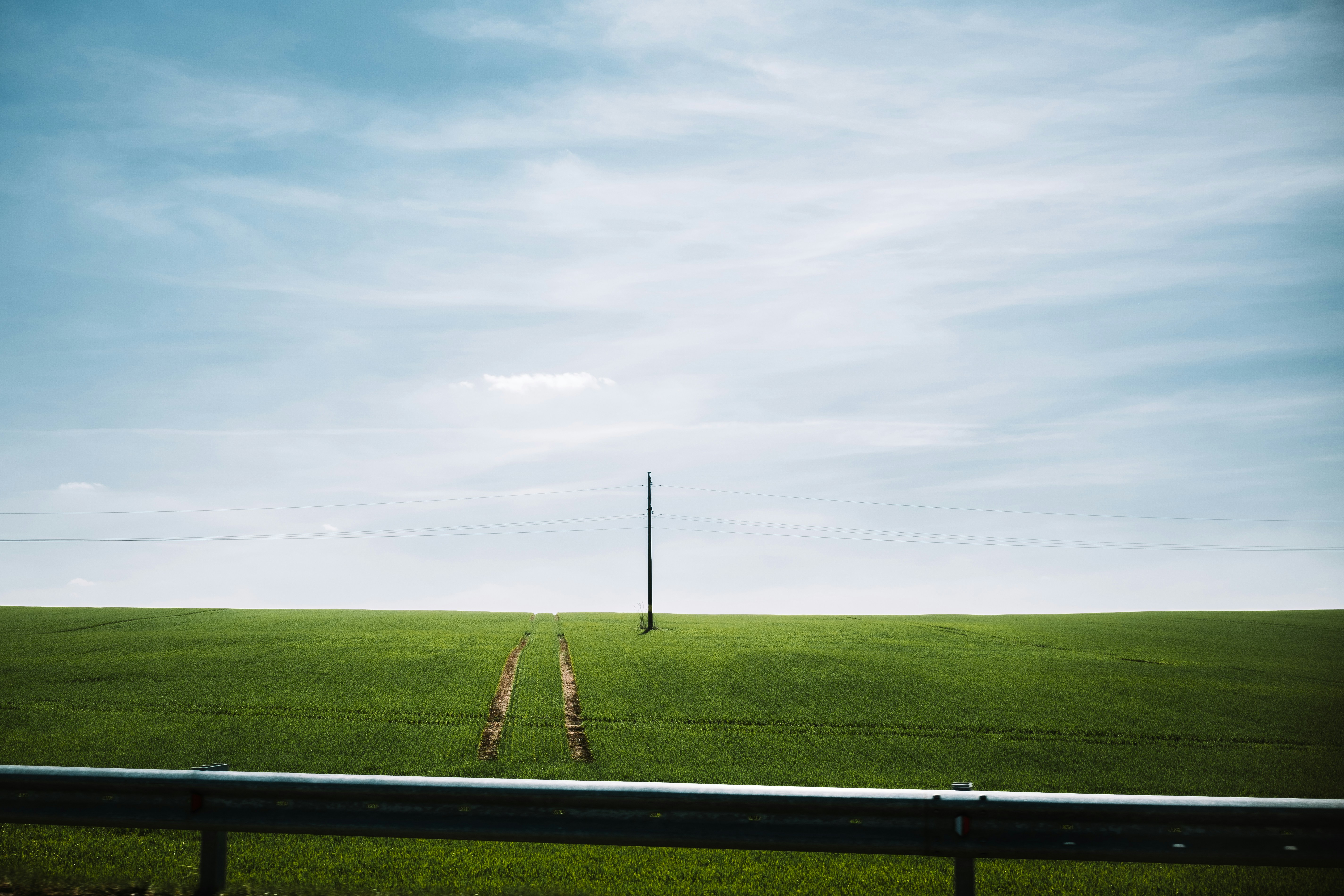 Pole in the Wheat Field: A Quiet Horizon Under Wide Skies