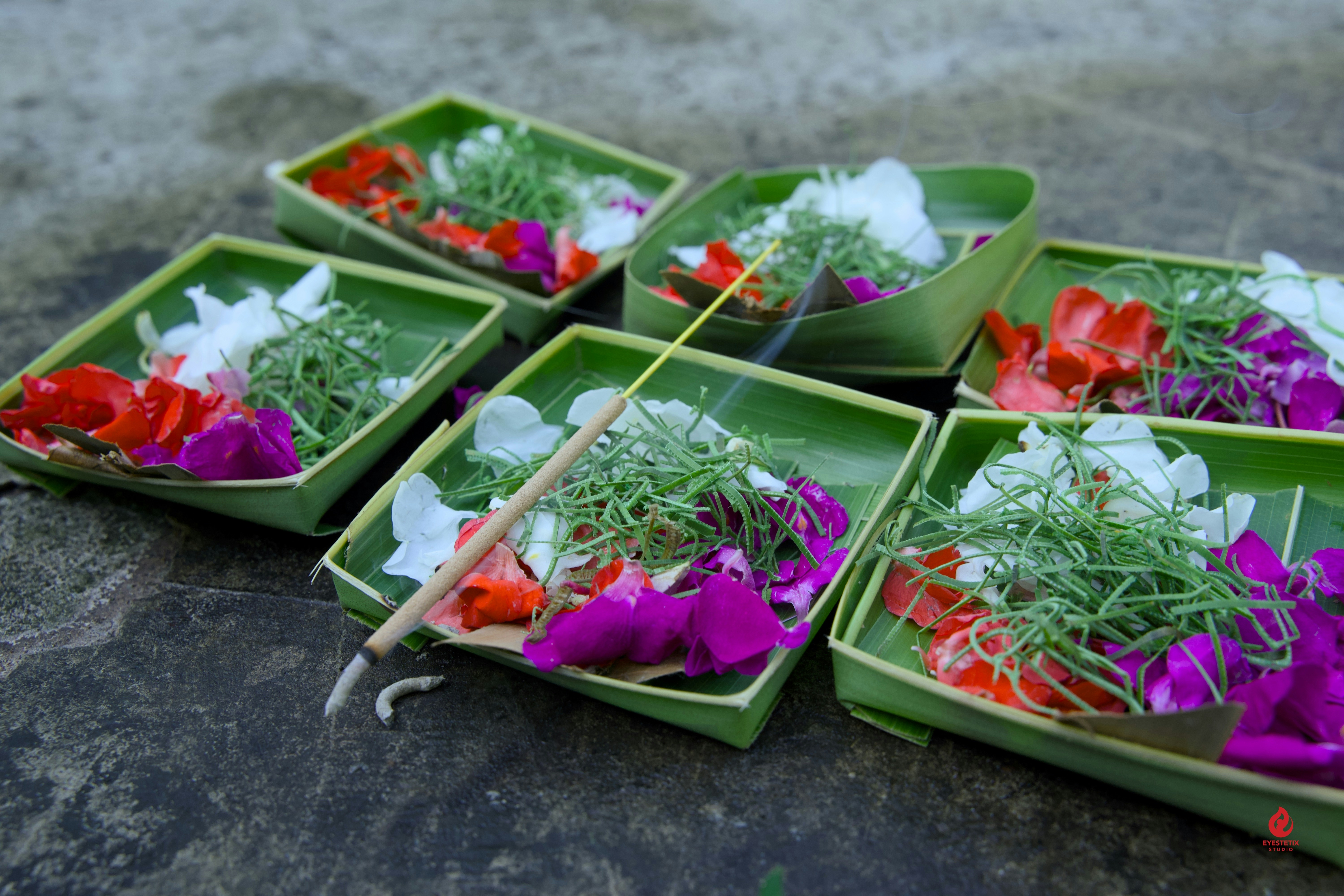 Colorful Bento Melodies: Flower Petal Arrangements in Green Boxes