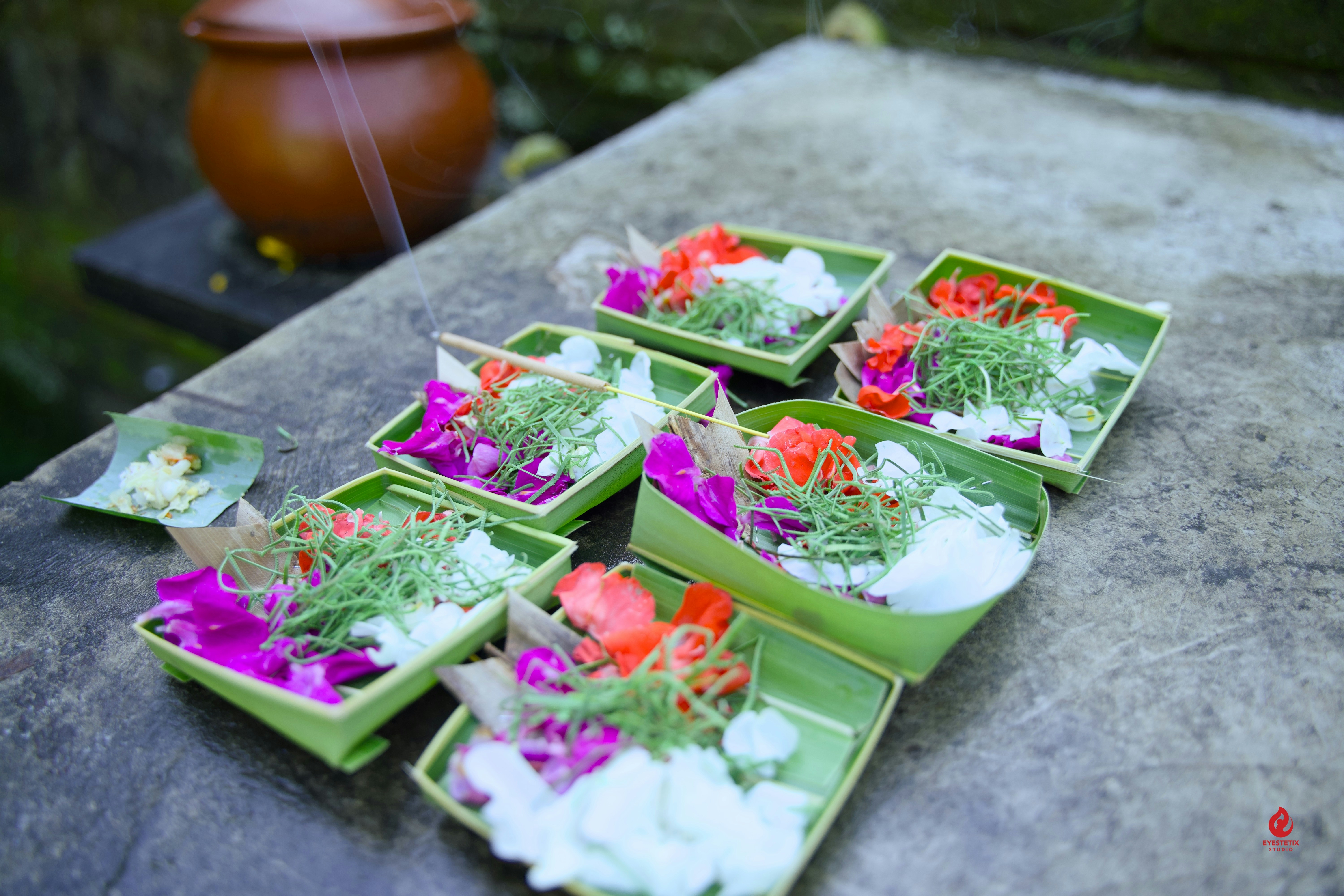 Miniature Green Trays: Colorful Edible Flowers Arranged for Picnic-Style Display