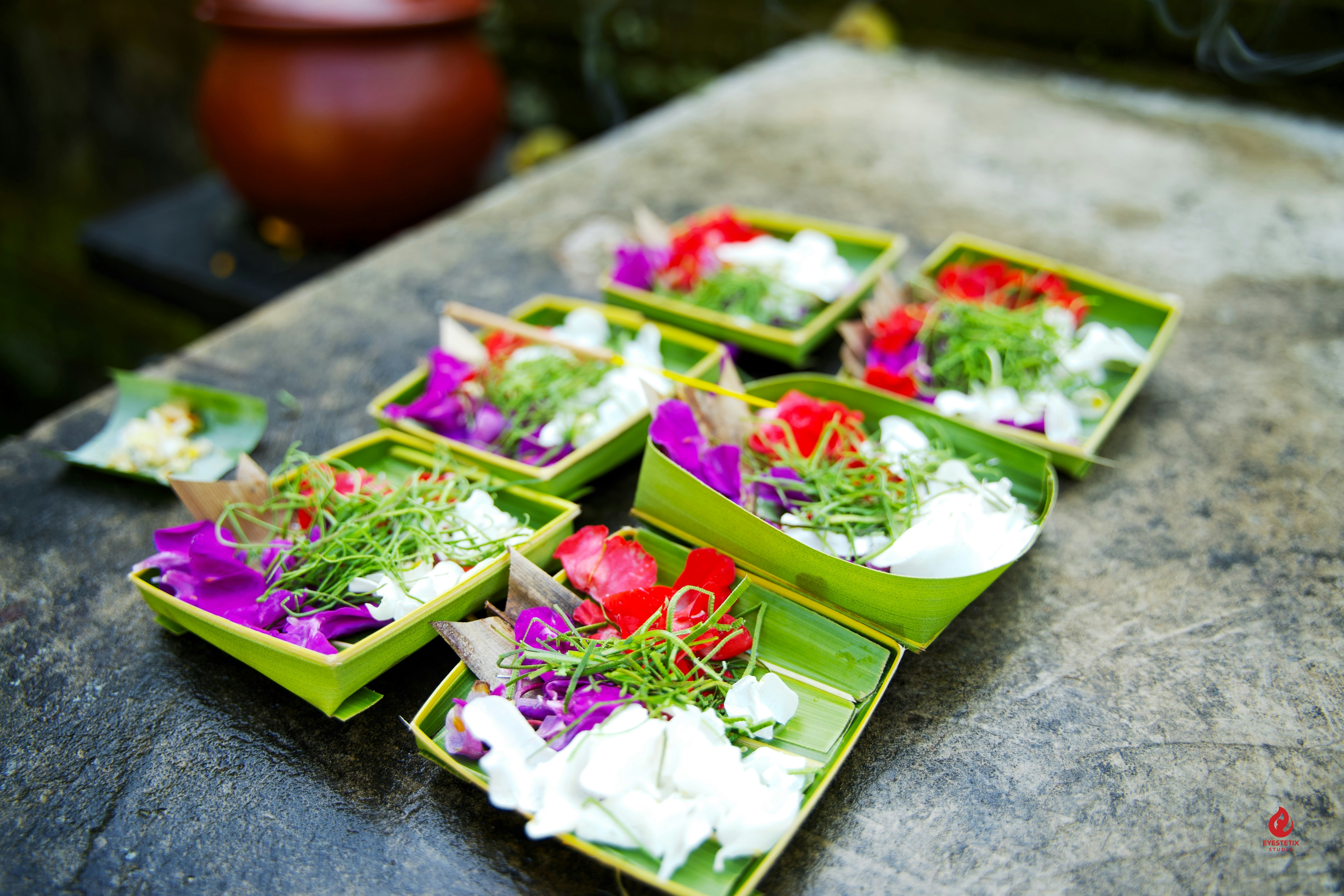 Colorful Bento Windows: Small Green Trays with Fresh Salad Fragments