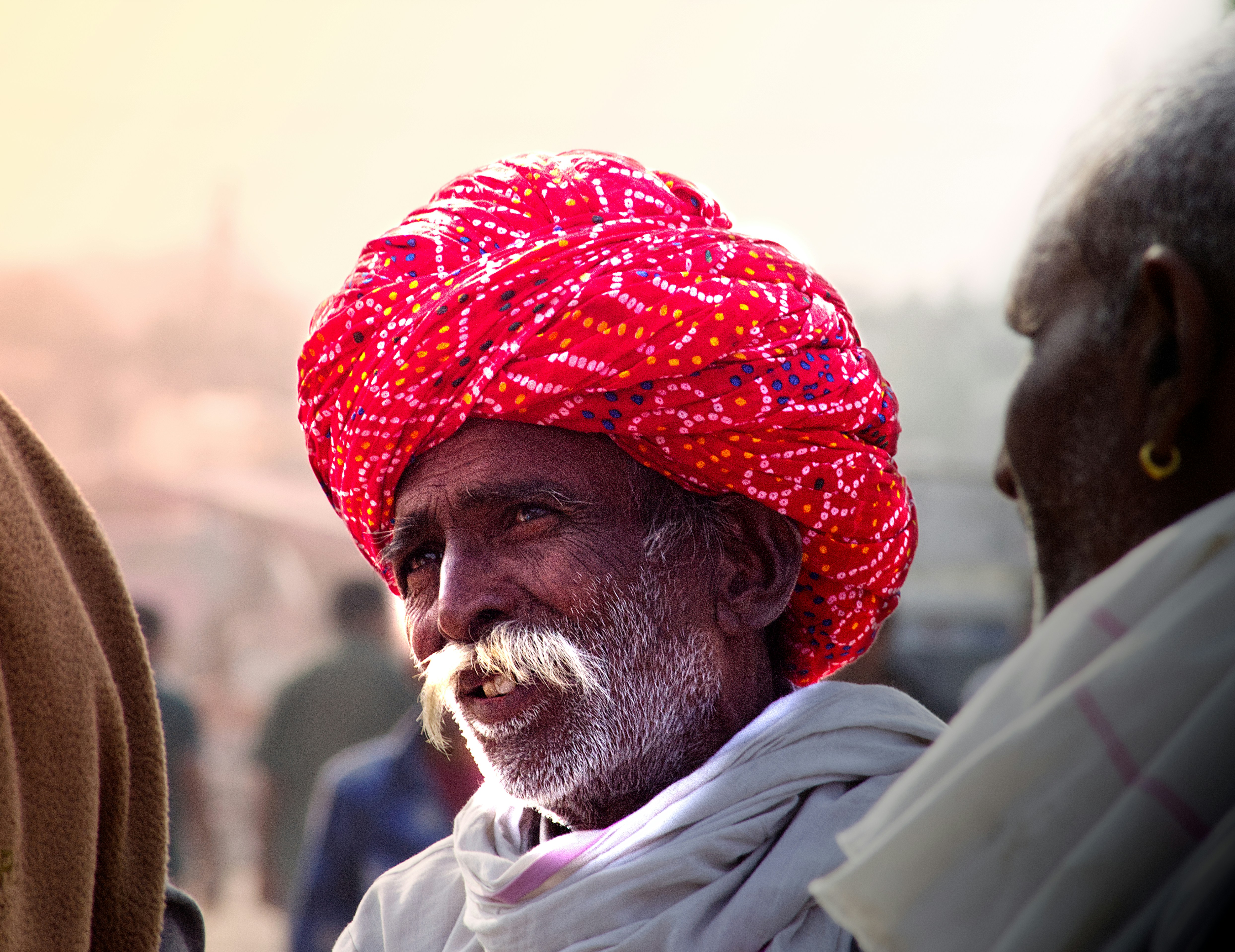 Portrait of a Red-Turbaned Sage in Soft Backlight
