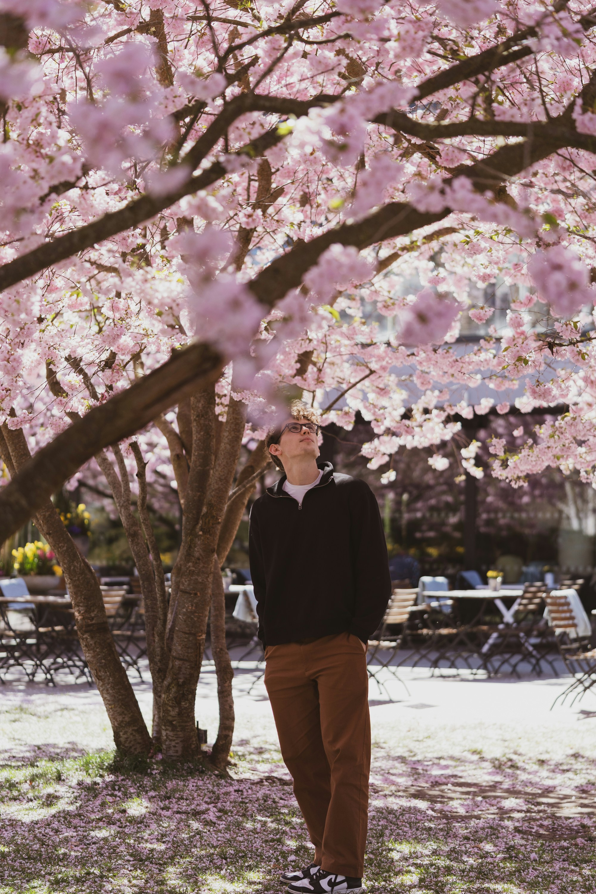 Portrait Beneath Blushing Blossoms