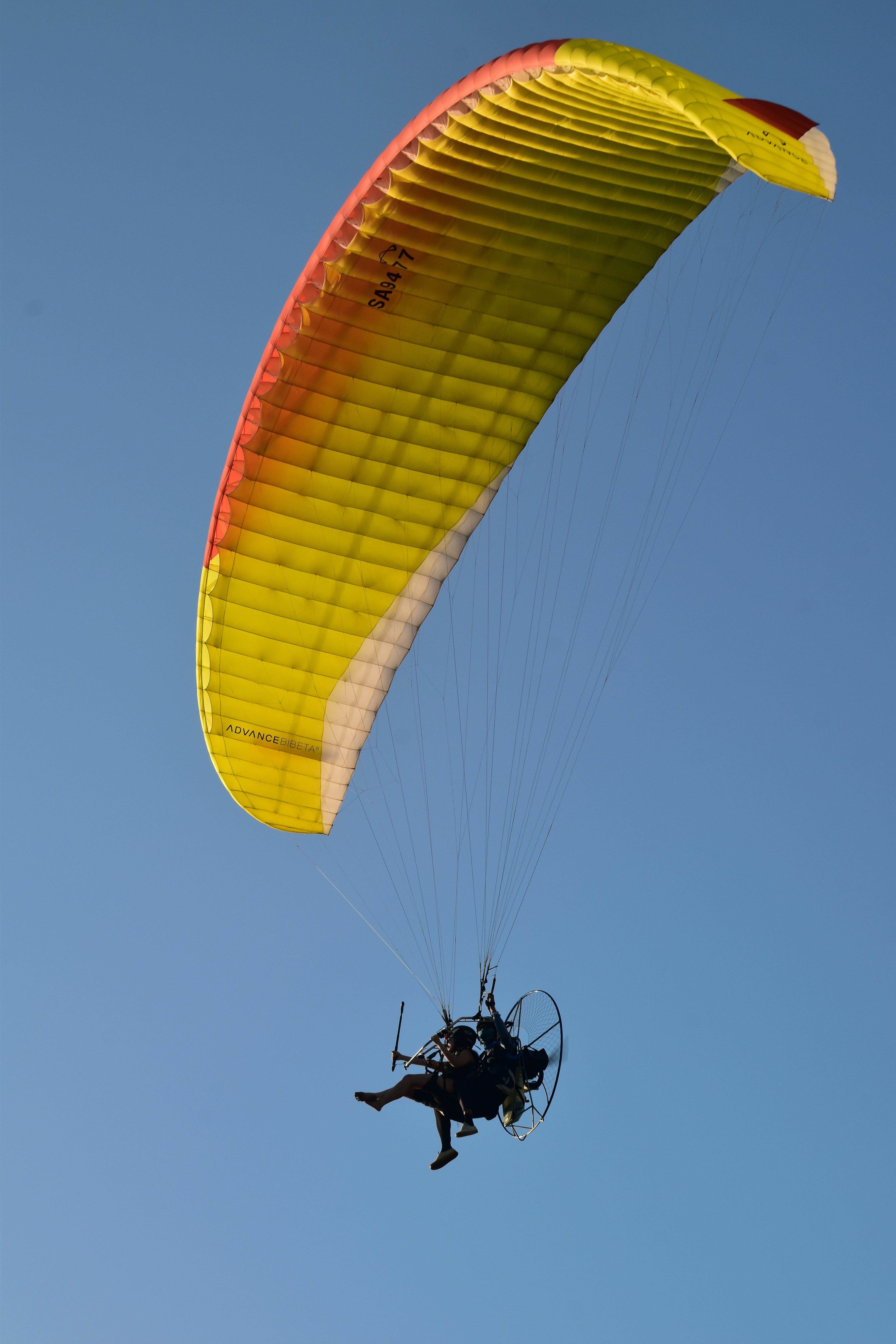 Soaring Duo: A Bright Paraglider Against a Clear Day