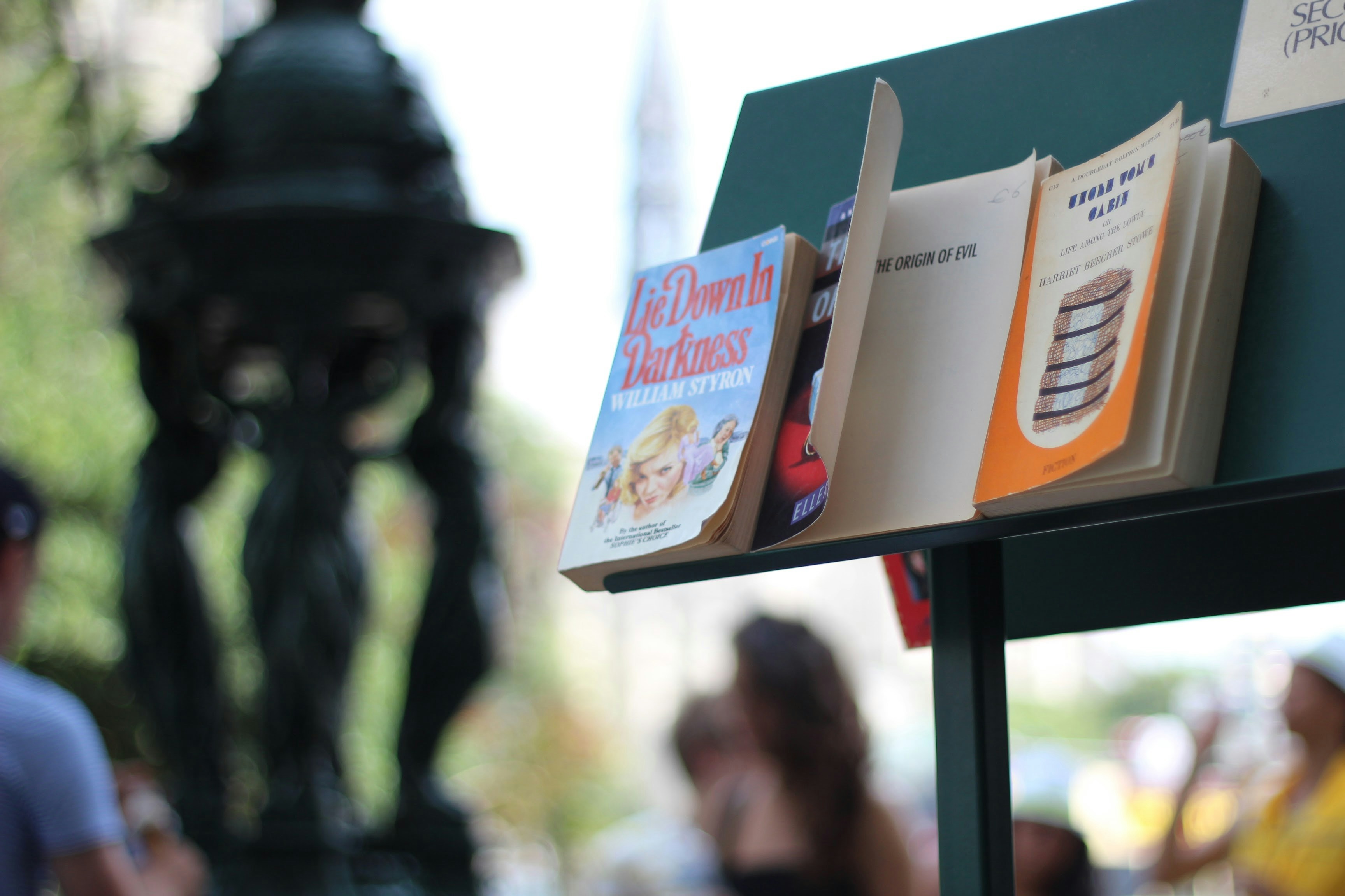 Leaflet Stand in a Quiet Library of Light