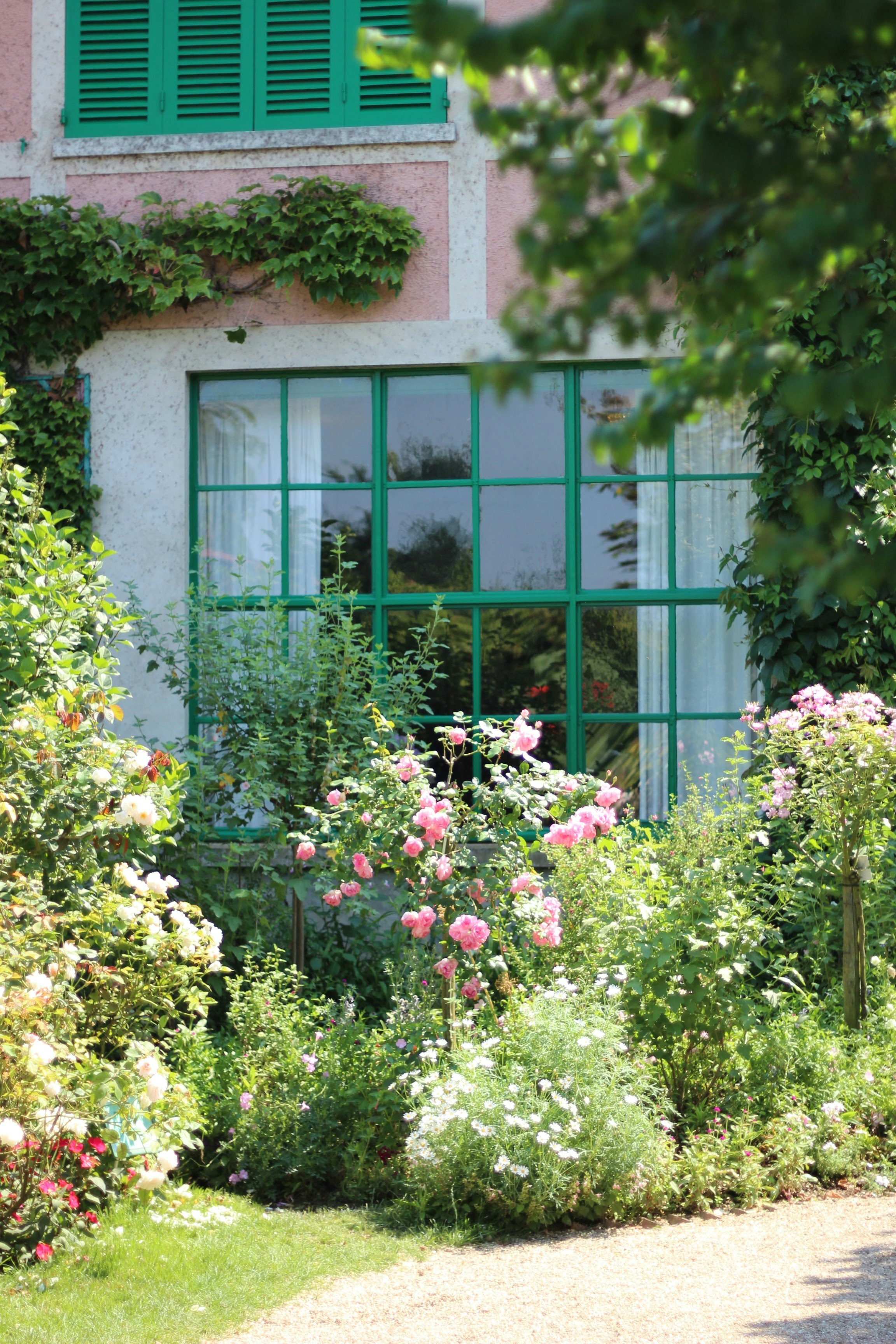 Sunlit Rose Garden Framing a Verdant Window