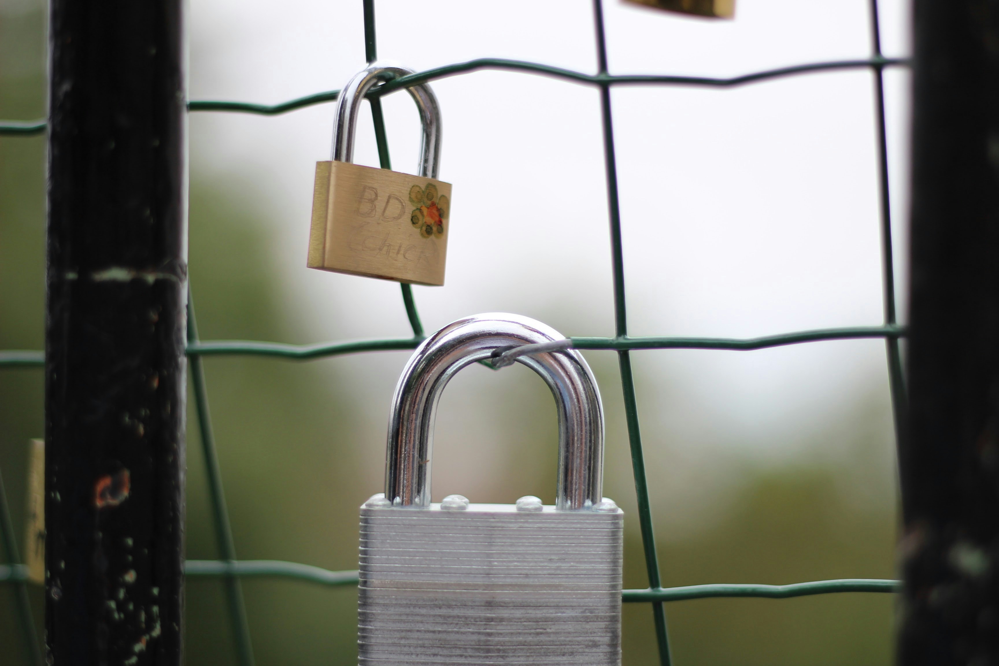 Padlocks on a Woven Barrier: A Quiet Lockout Moment
