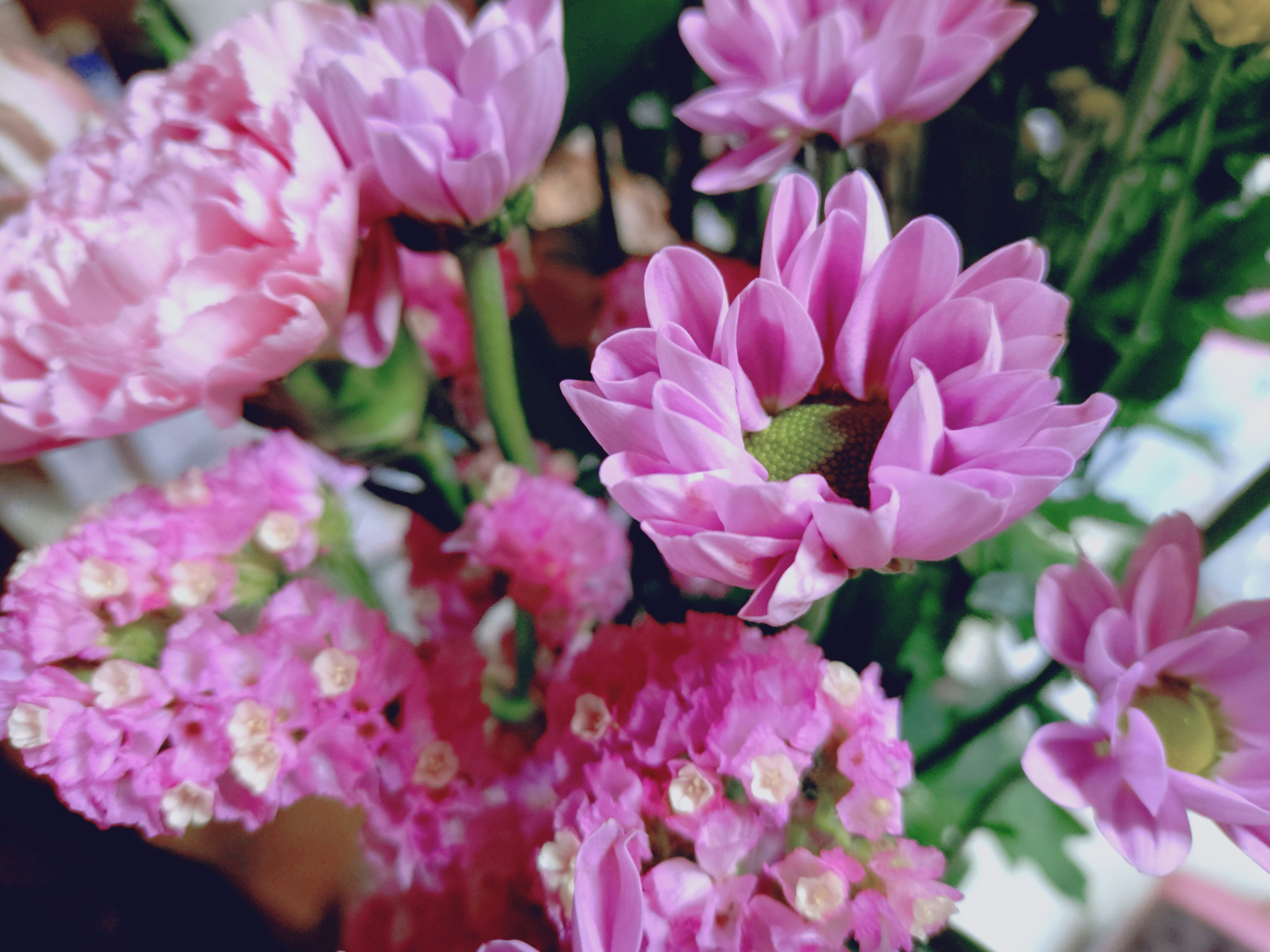 Pink Blossom Symphony: Close-Up of Petals and Buds