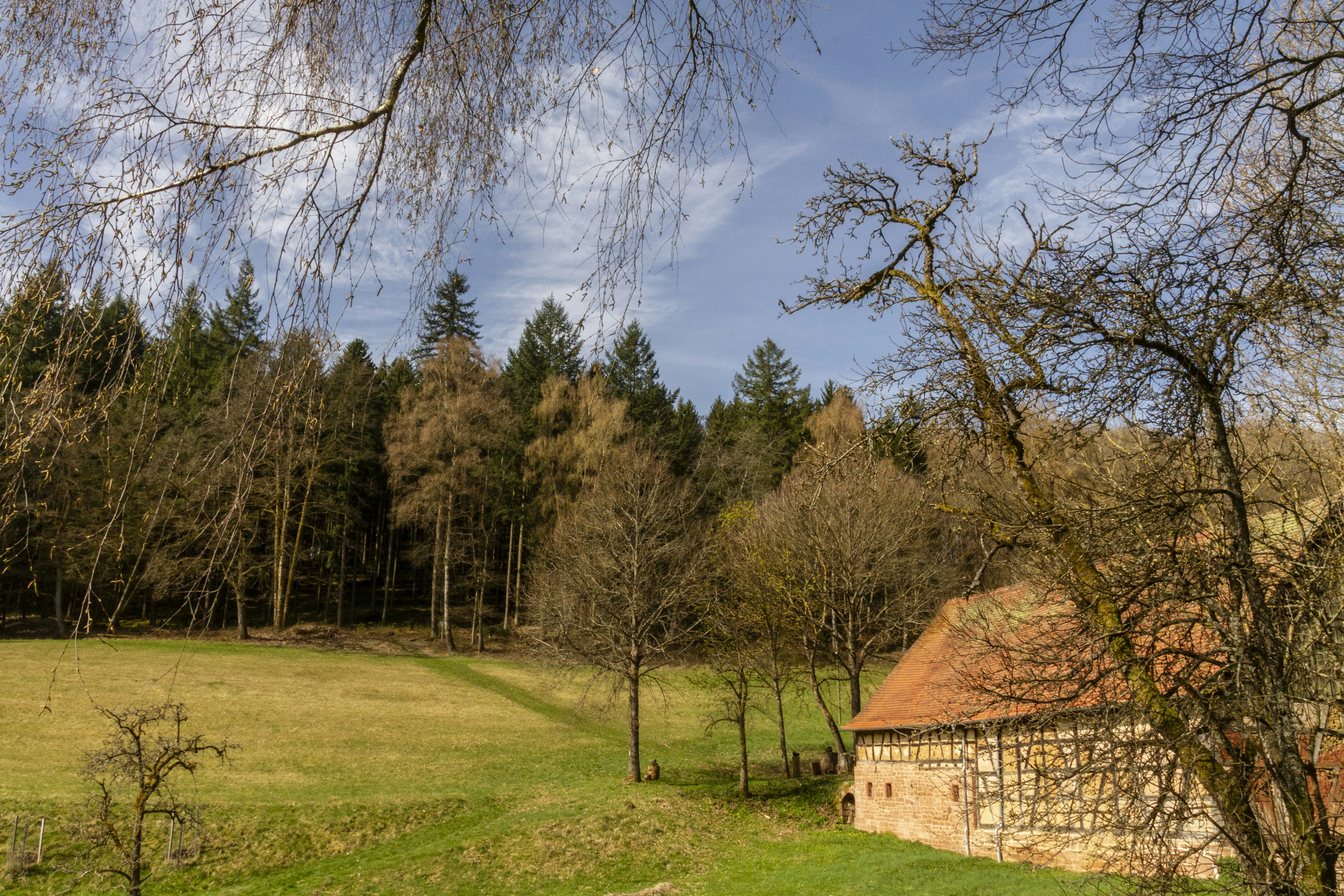 Sunlit Meadow and Rustic Barn Under a Clear Spring Sky