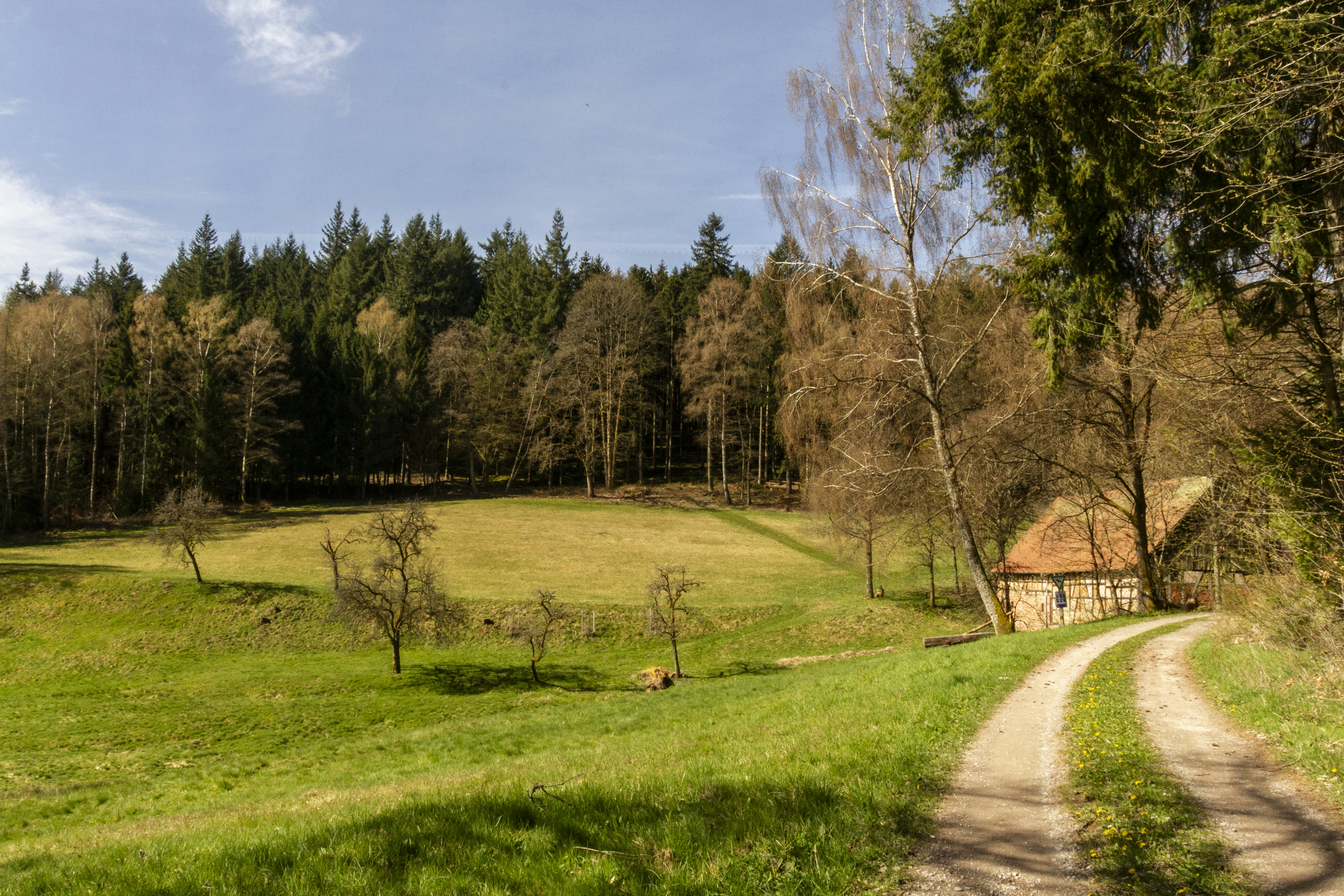 Sunlit Clearing by the Lane: A Rustic Farmstead at Dusk