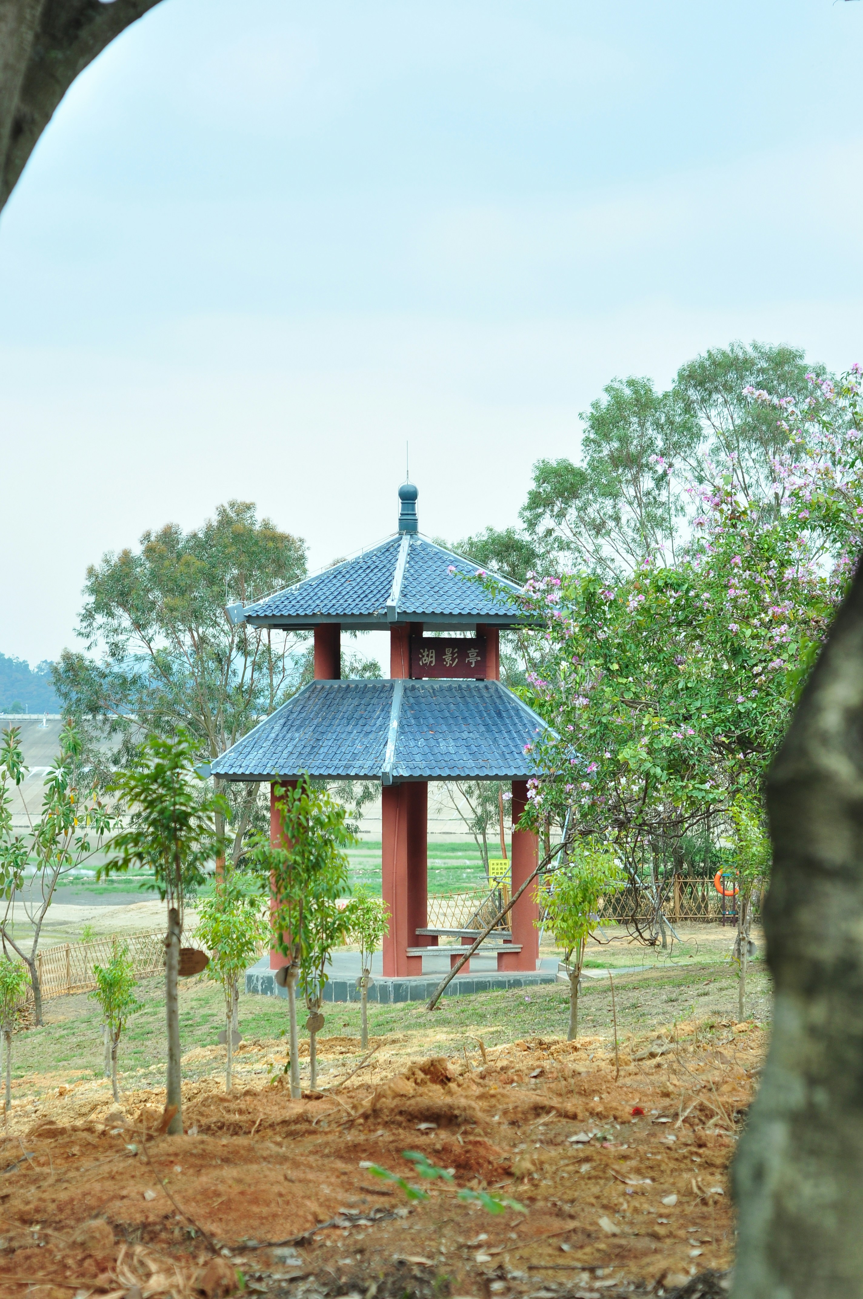 Hidden Garden Pavilion: A Teal-Topped Oasis Framed by Blossoms
