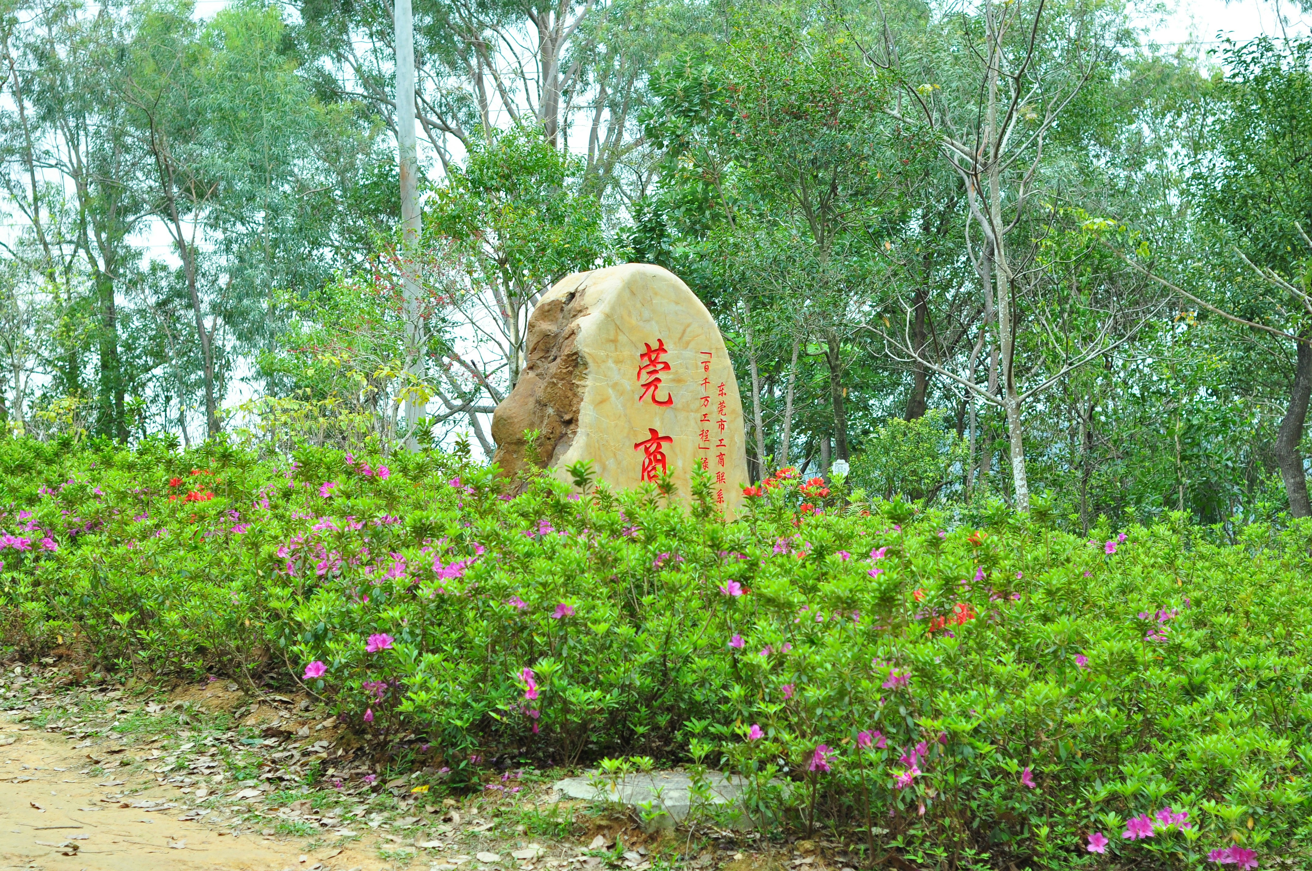 Stone Monolith with Red Characters Rising Beyond a Blooming Bushes Garden