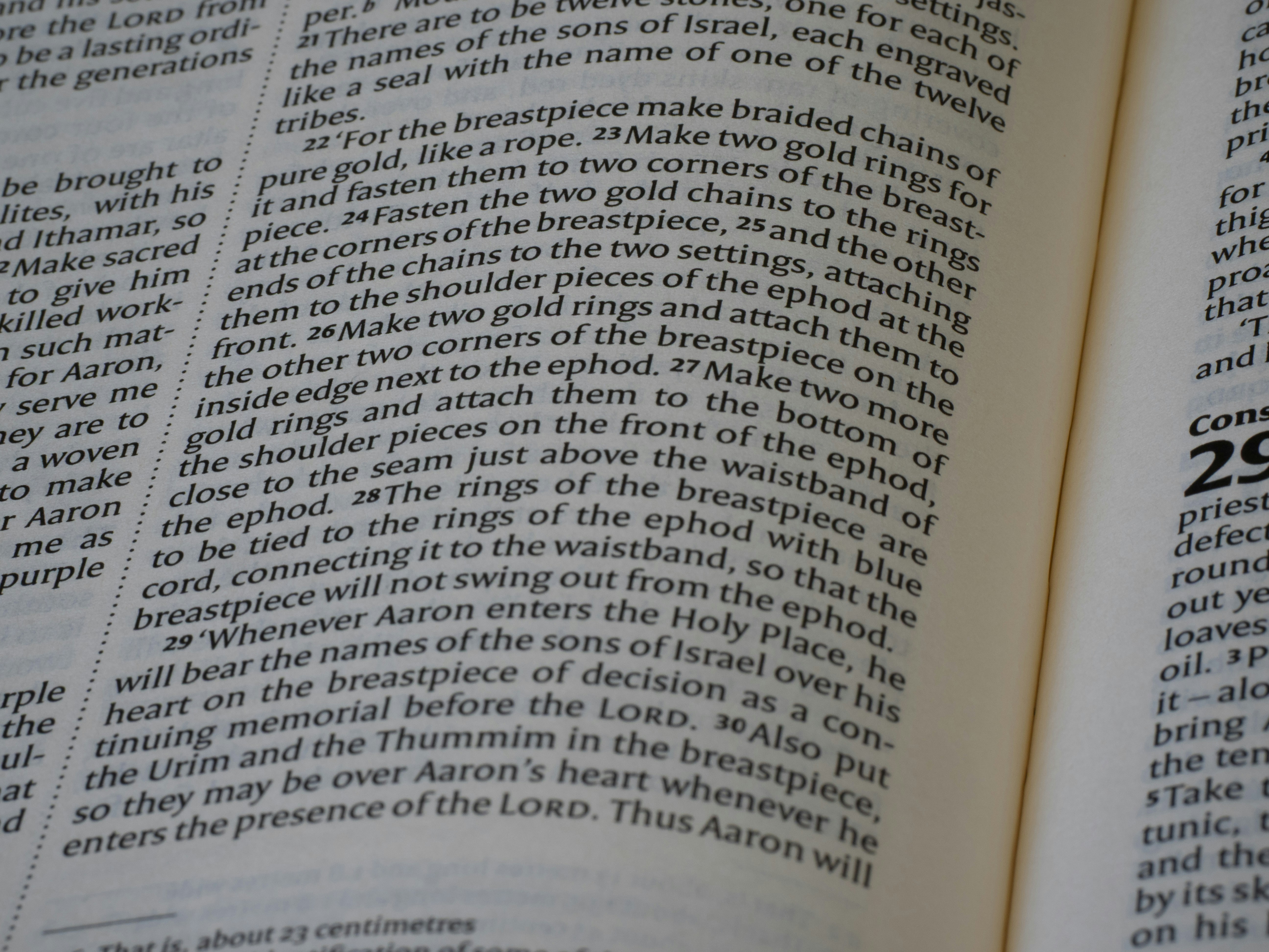 A Quiet Read in Morning Light: Close-Up of a Page Folded at the Center