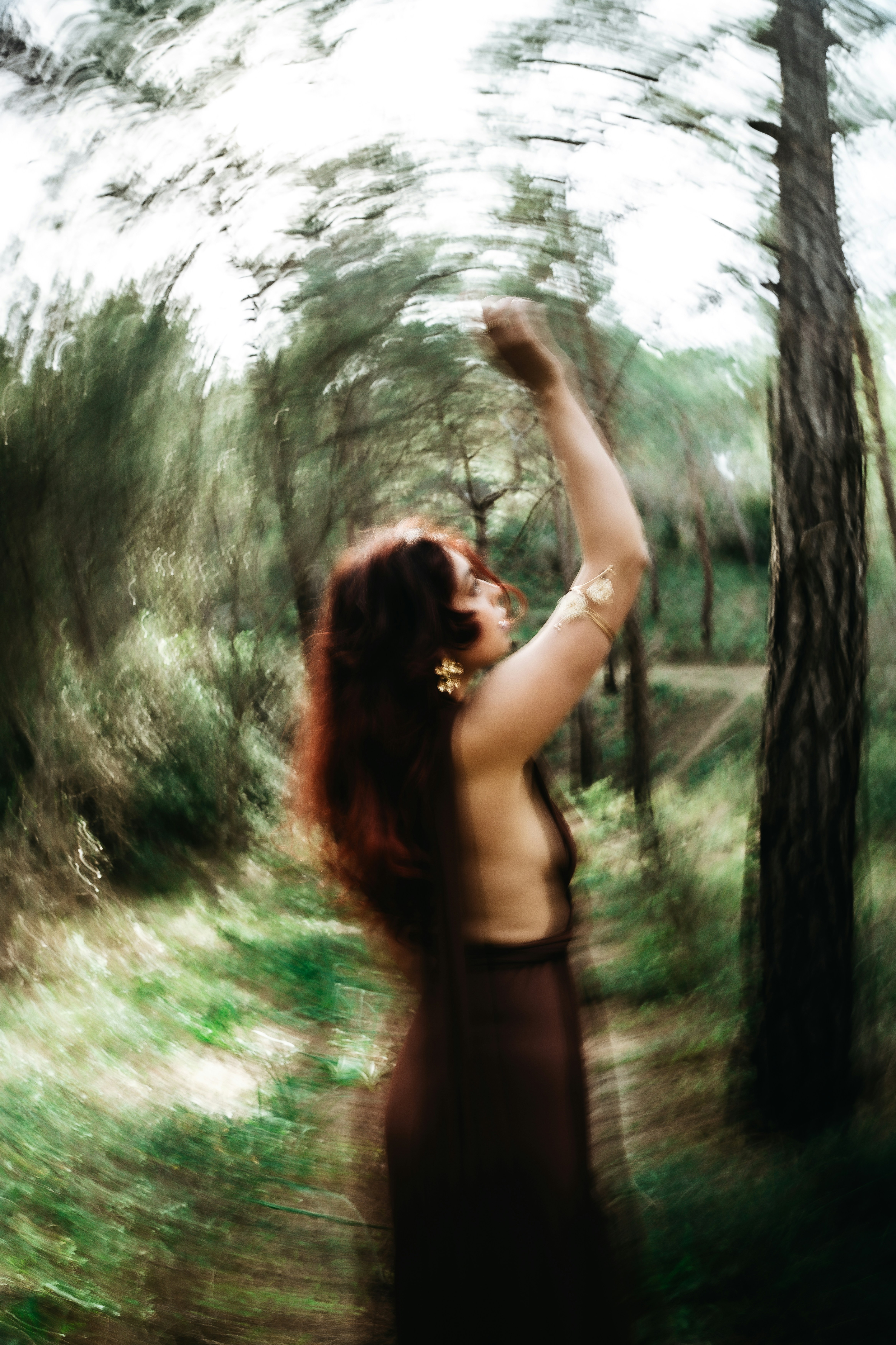Dancing in the Forest: A Silhouette of Motion