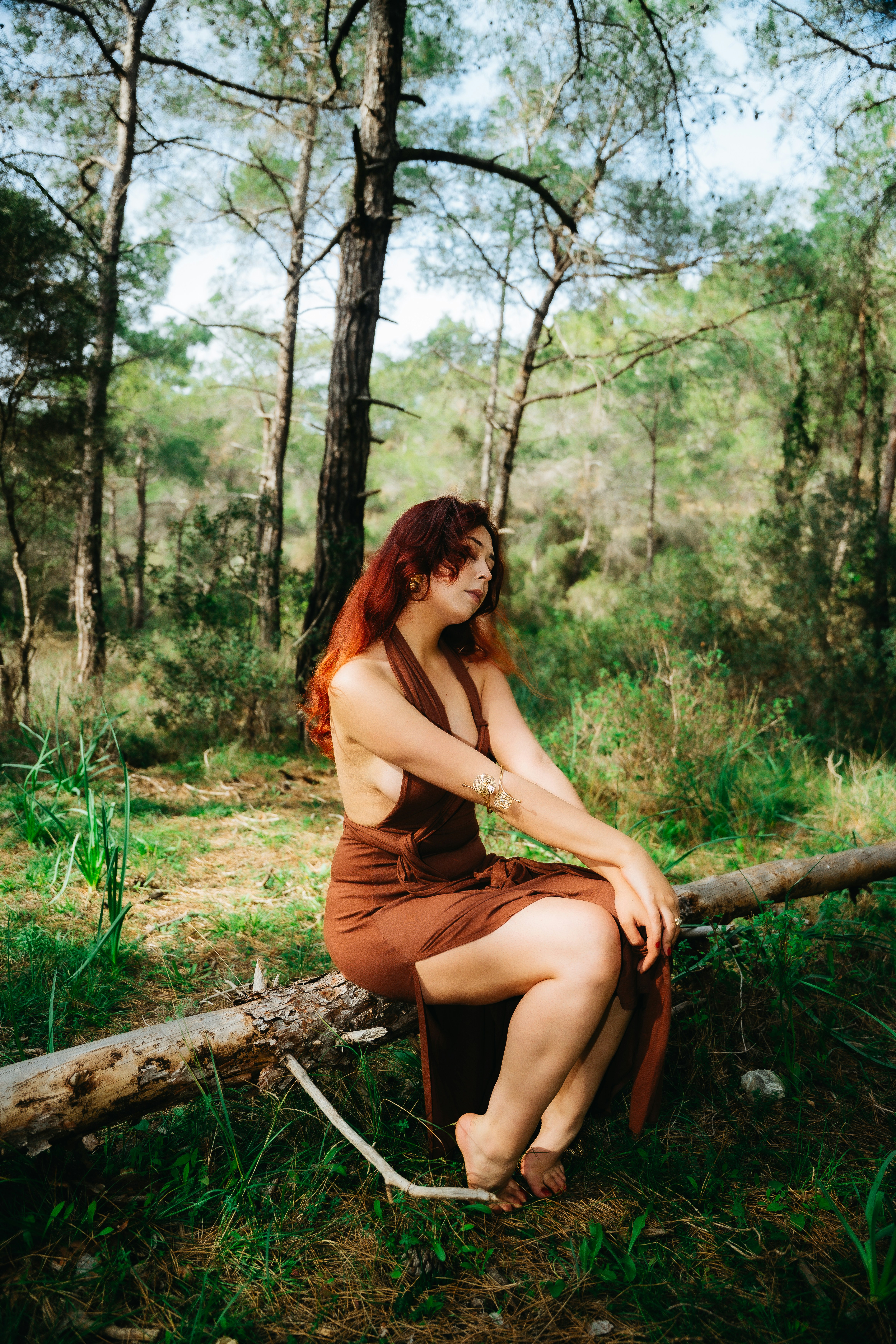Solitary Grace on a Log Between Pines