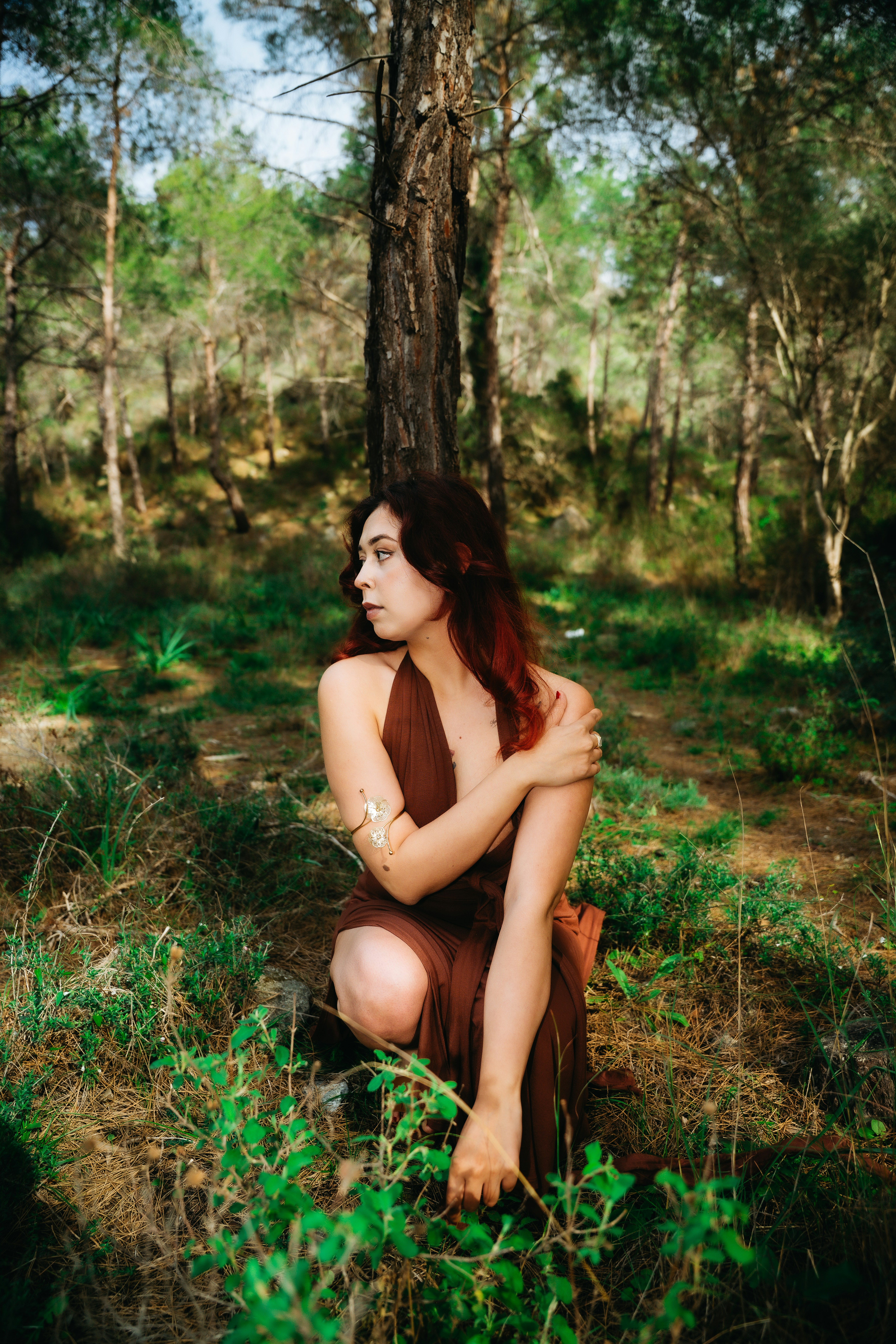 Forest Stillness: A Quiet Moment in Warm Light