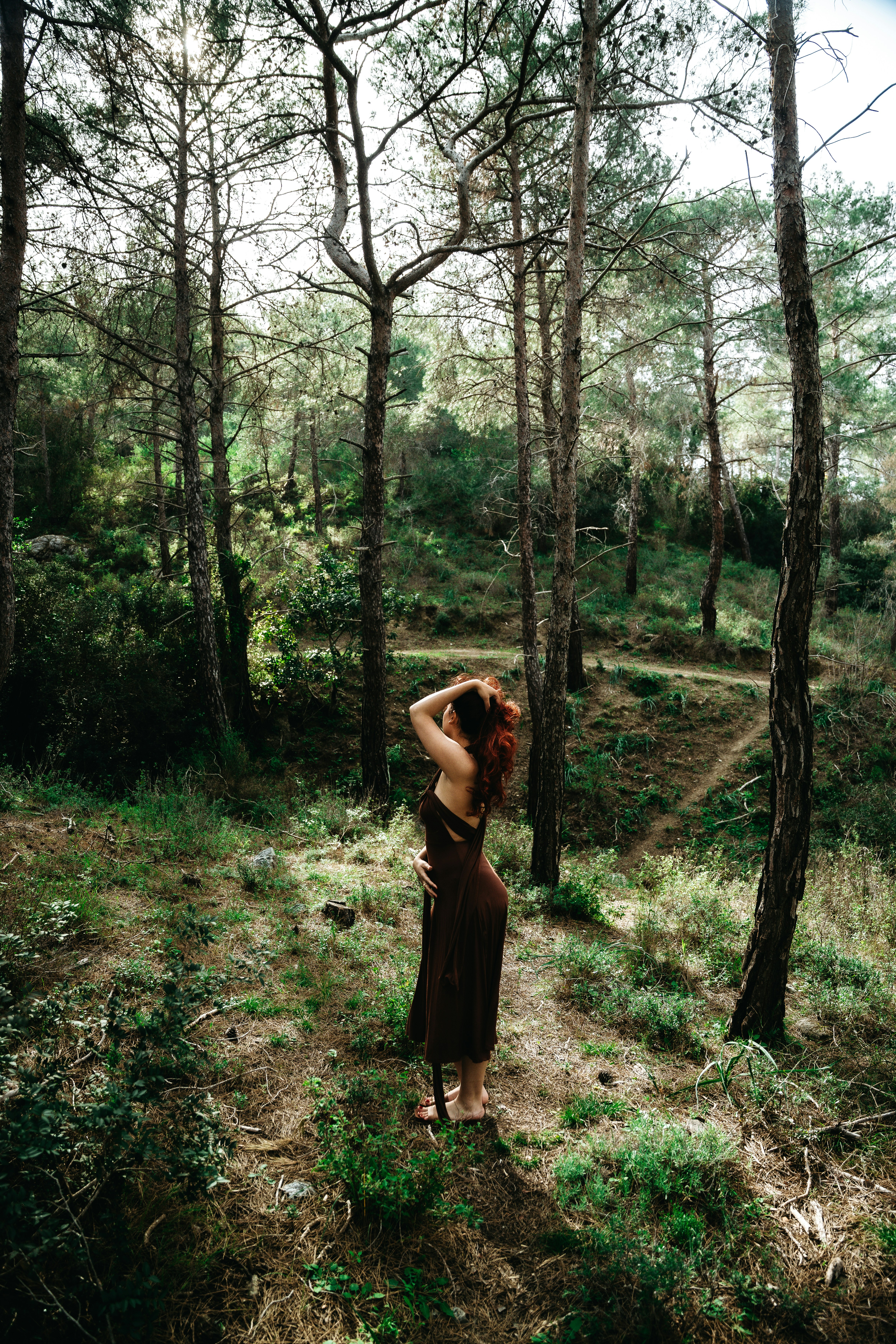 Forest silhouette: a woman in a brown dress among pine trunks