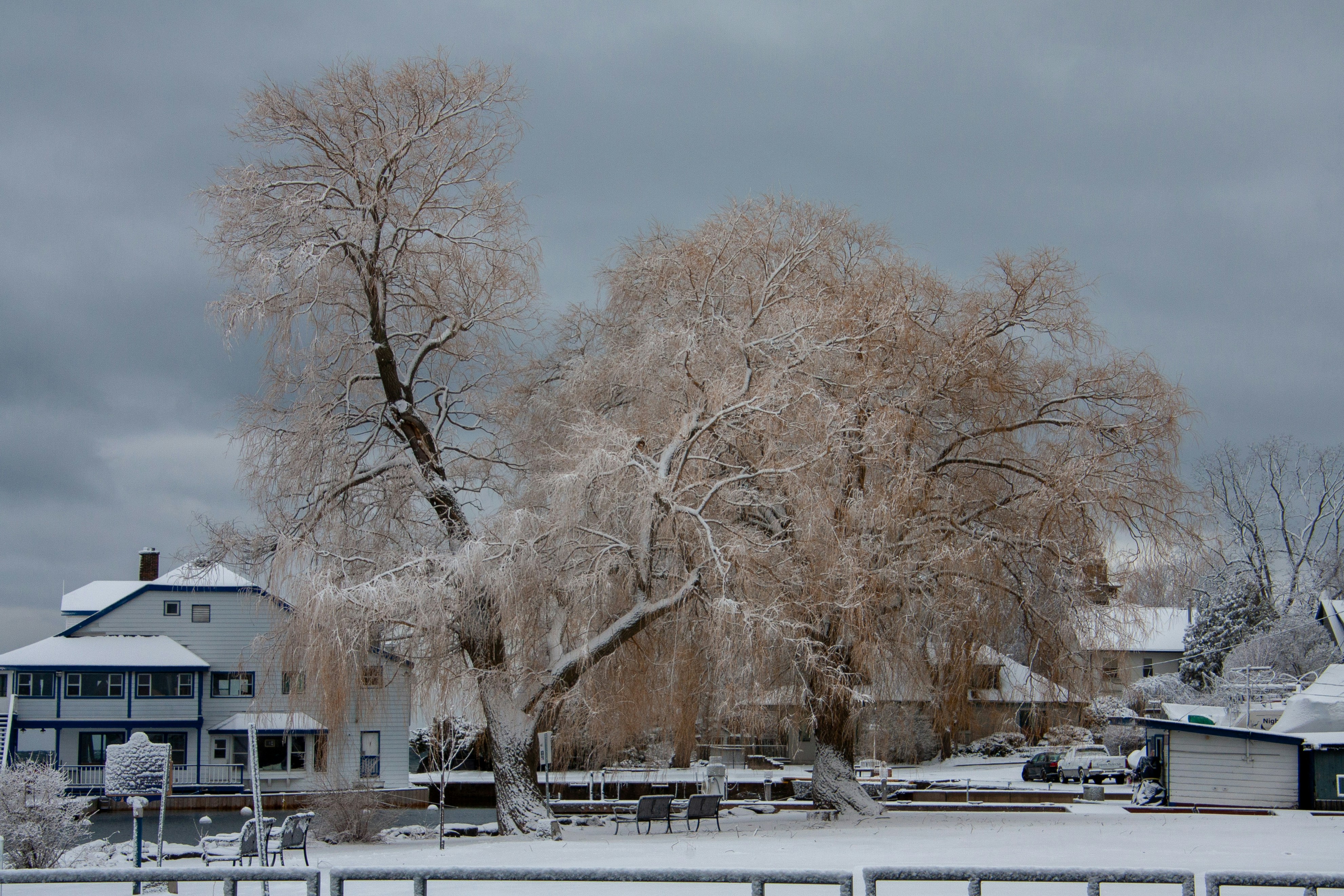 Snowbound Riverside: Bare Trees and Quiet Docks along a Frosted Quay