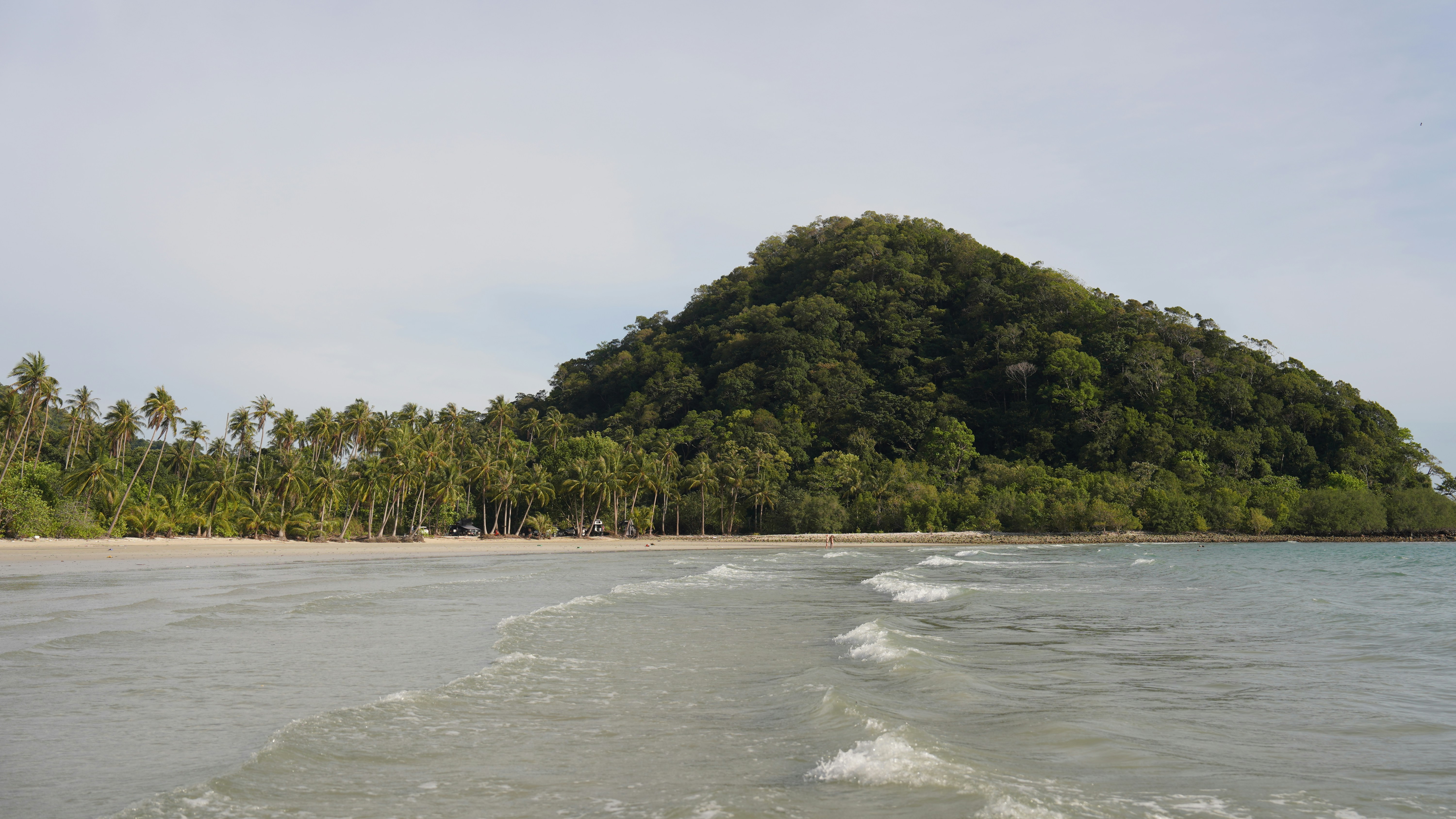 Island Crest: A Palm-arched Beach Facing A Verdant Hill