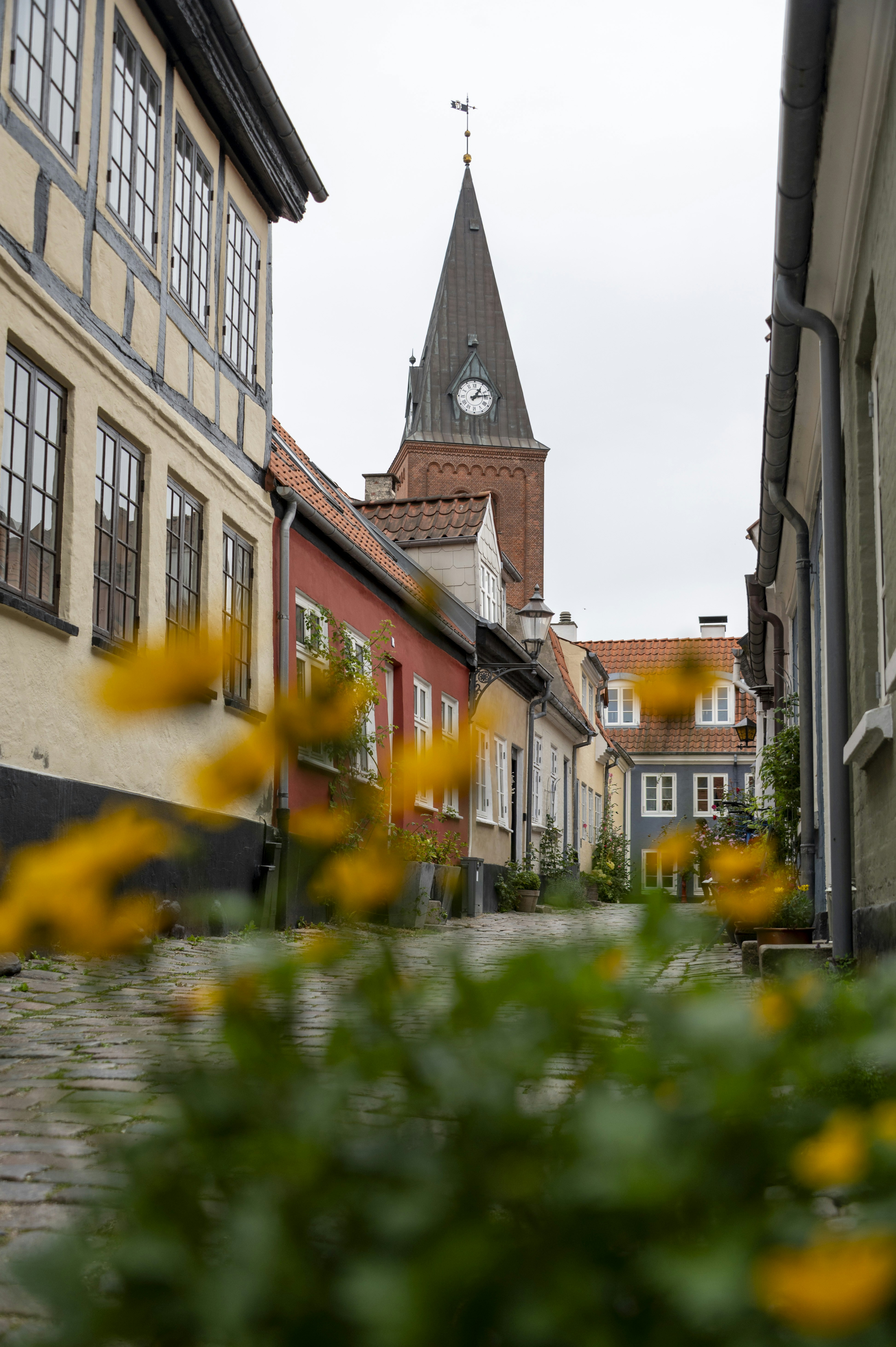Clock Tower Alley: A Quiet Street Leading to Time
