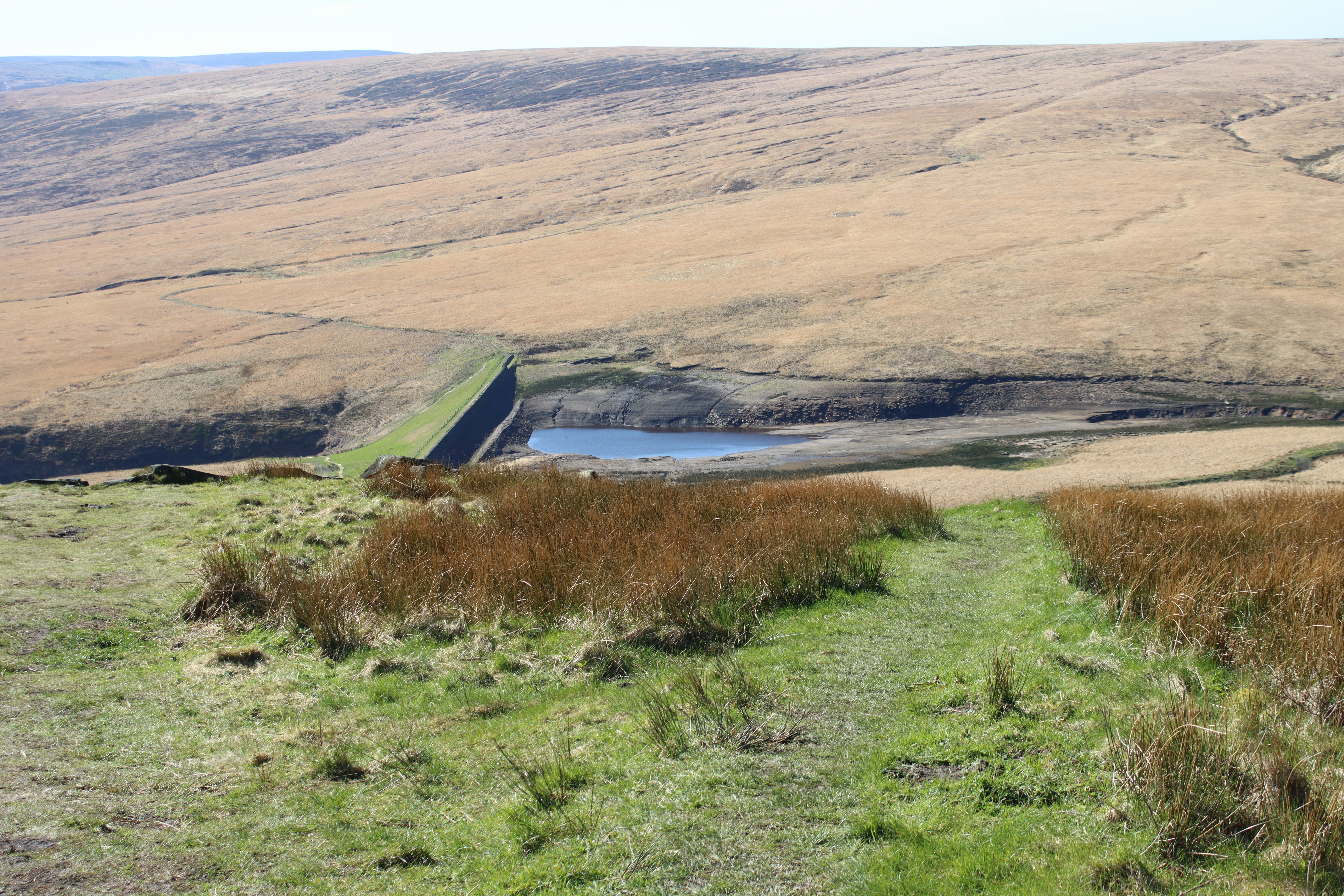 Green Path to the Dam: A Quiet Hillscape