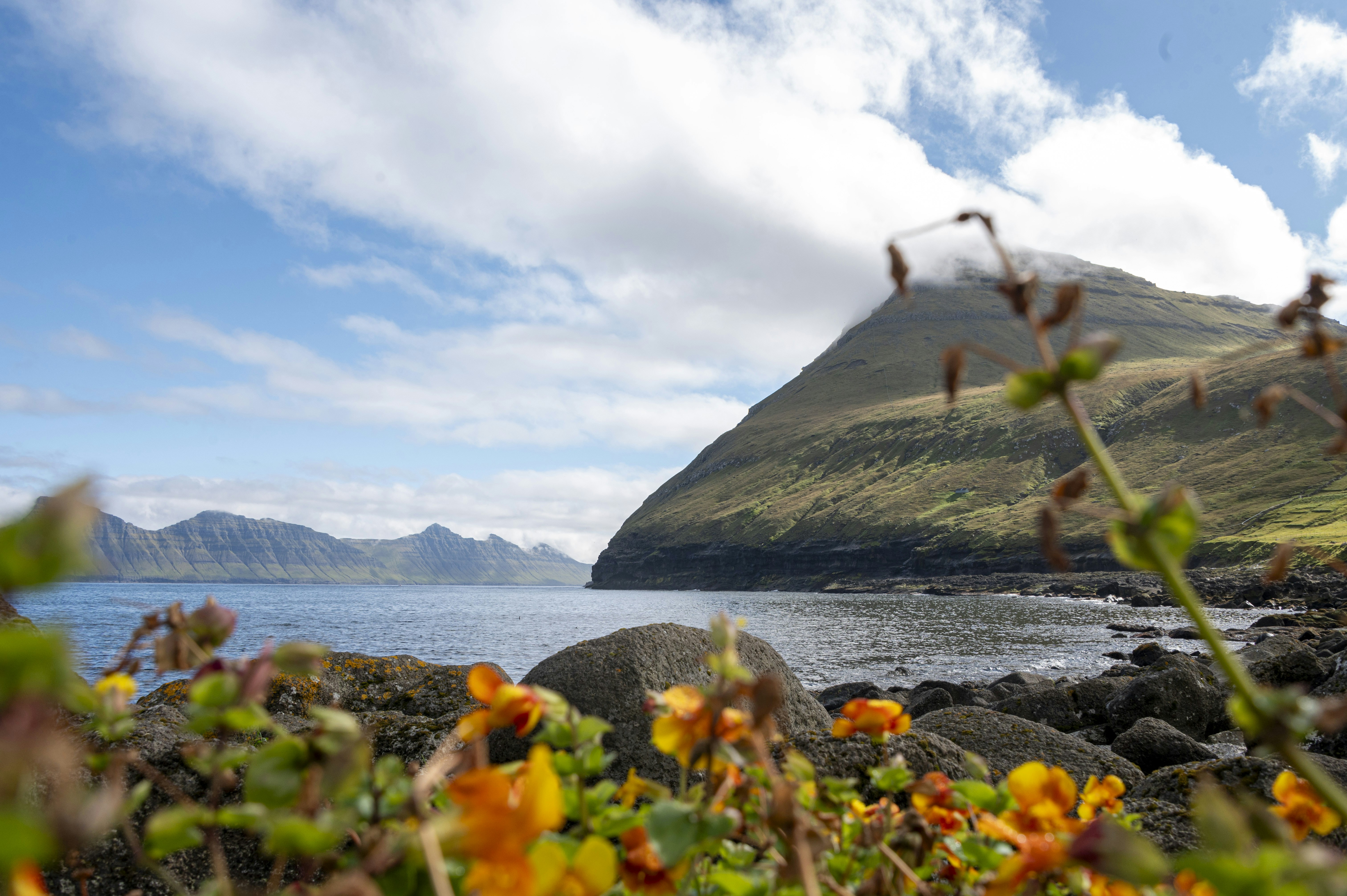 Coastal Cliff Framed by Colorful Bloom at the Water’s Edge