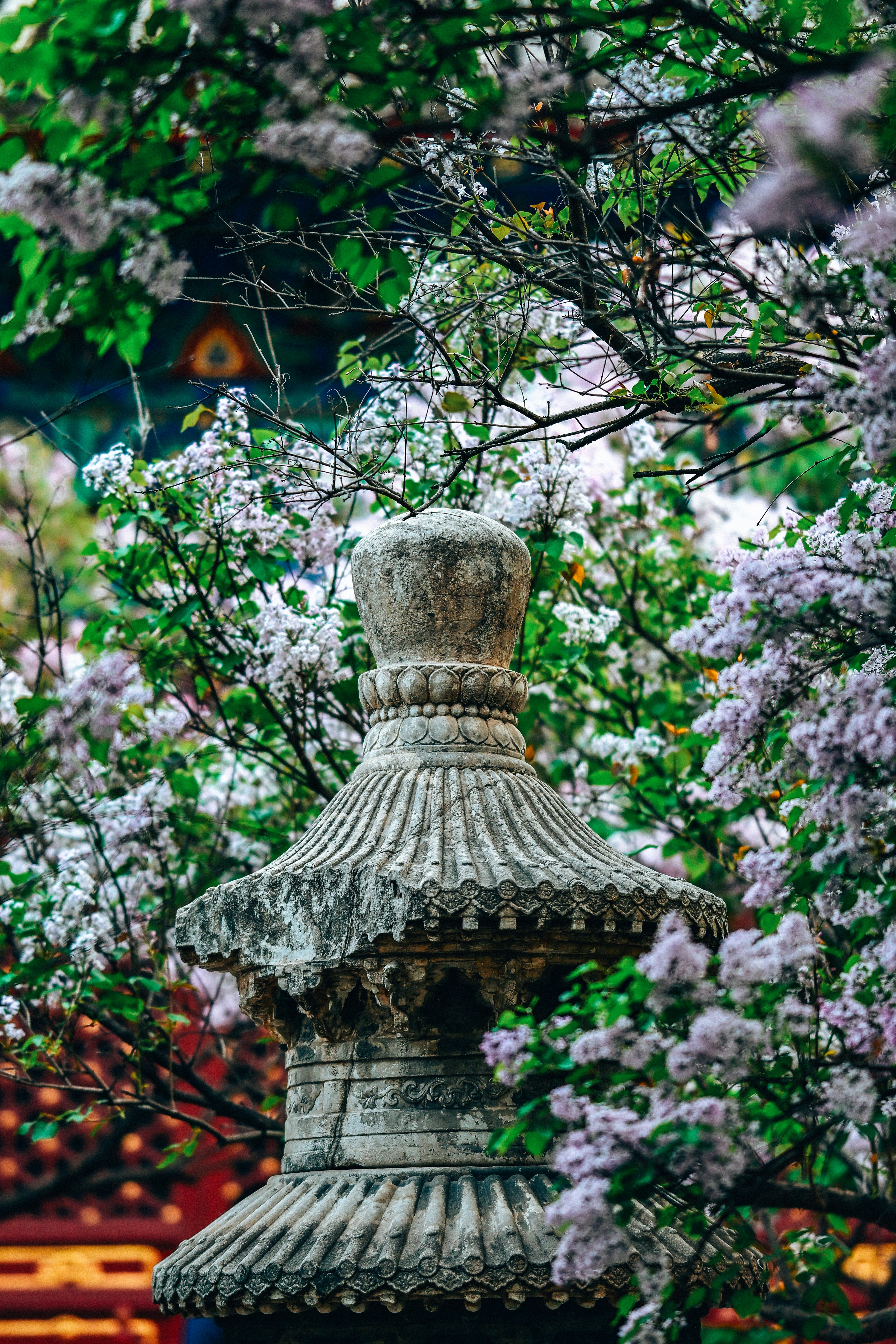 Stone Lantern in Bloom: Quiet Ceremony Under Lilac Skies