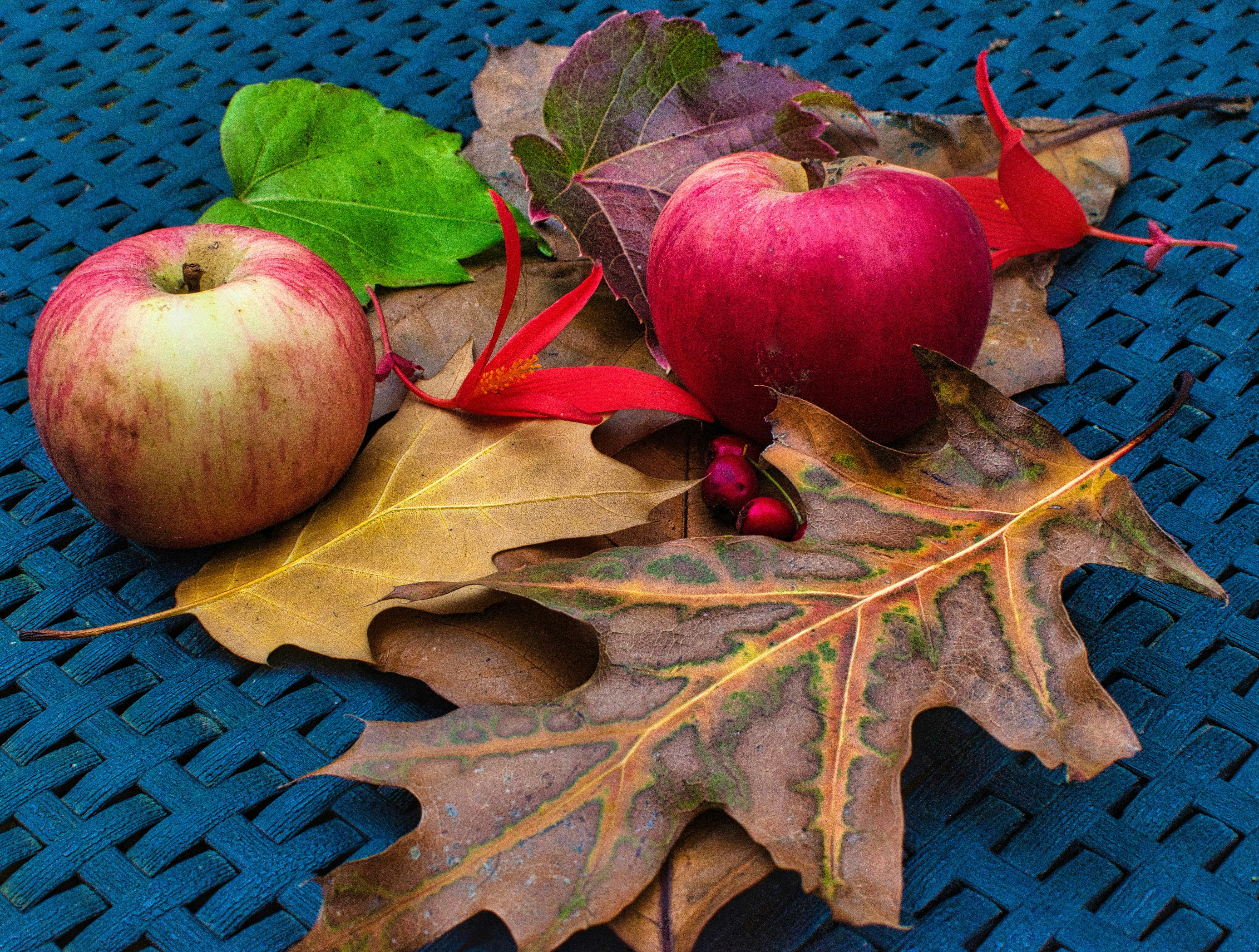 Autumn Harvest: Apples Resting on a Woven Blue Surface