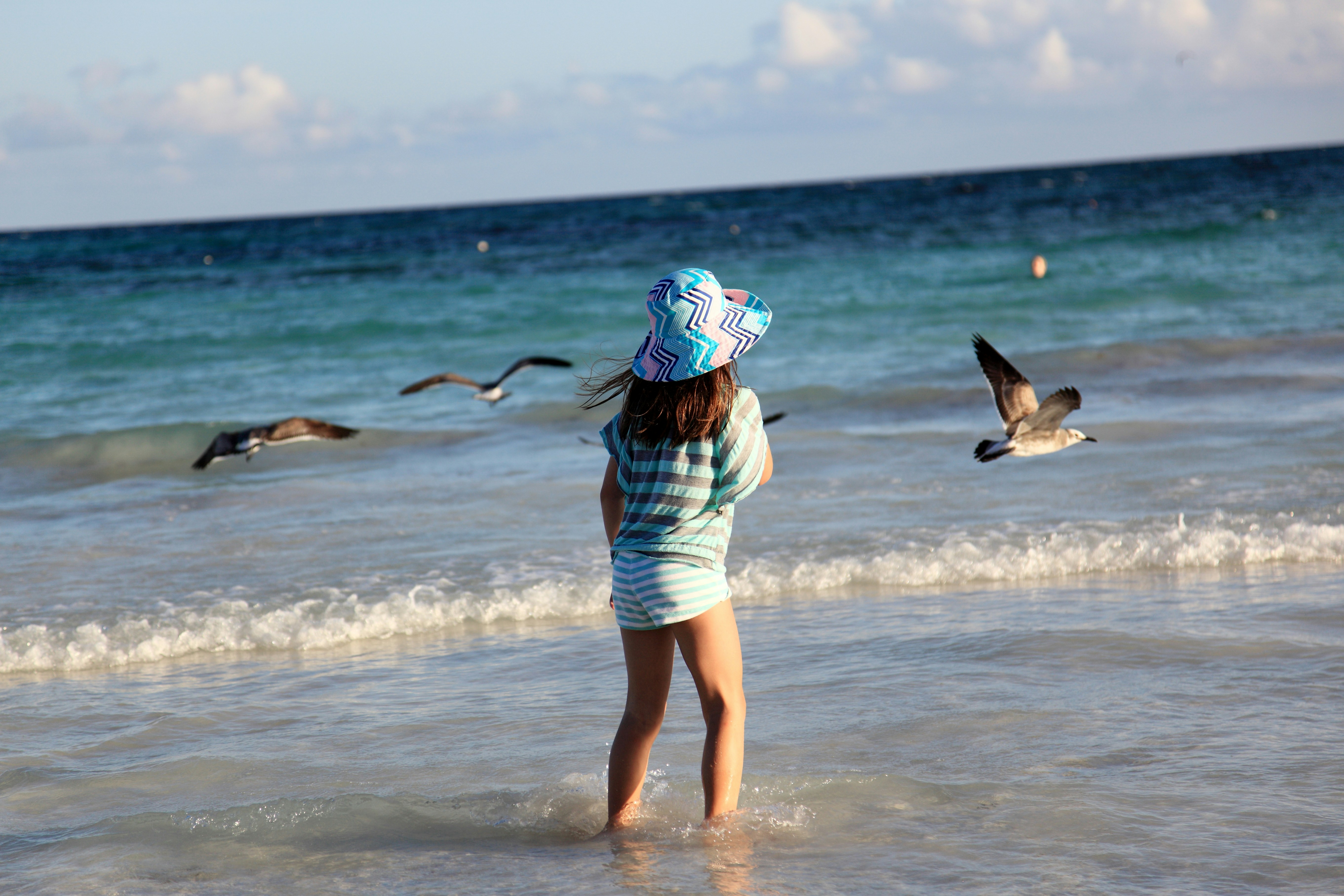 Child at the Shore: A Gentle Pause with Seabirds