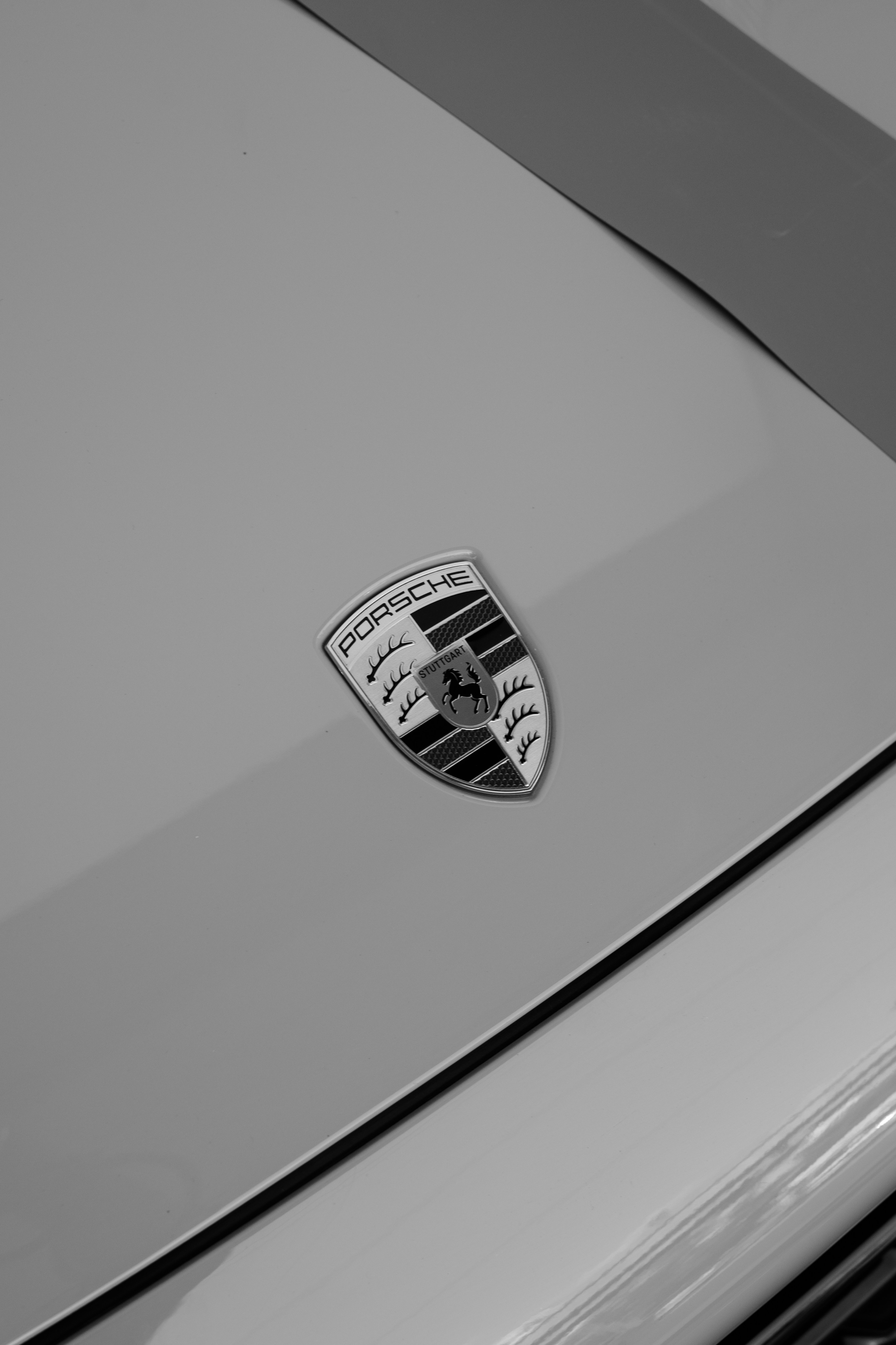 Porsche Emblem on a Curved Hood