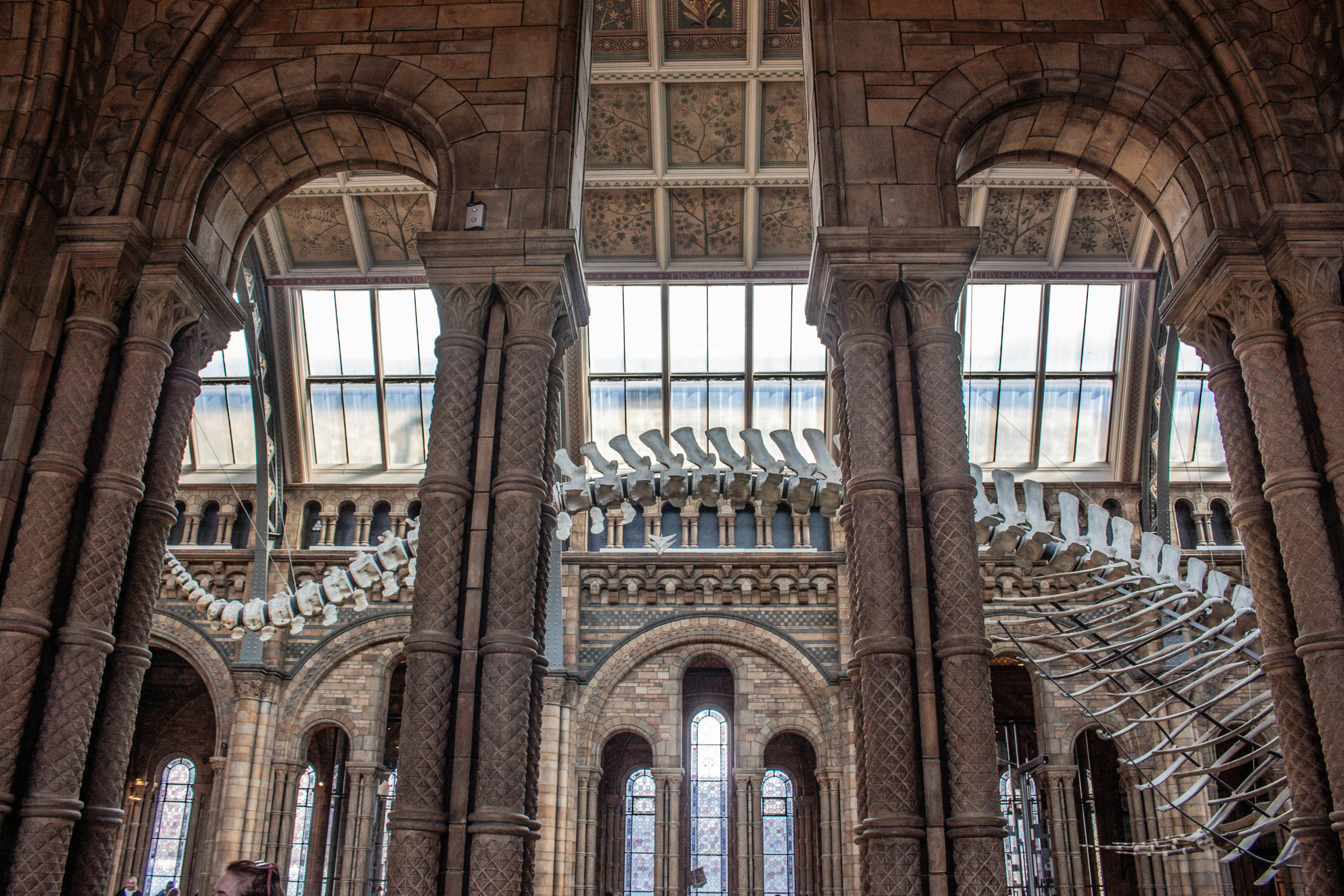 Spiral Rib Bones: An Architectural Sinuosity Inside a Brick Cathedral