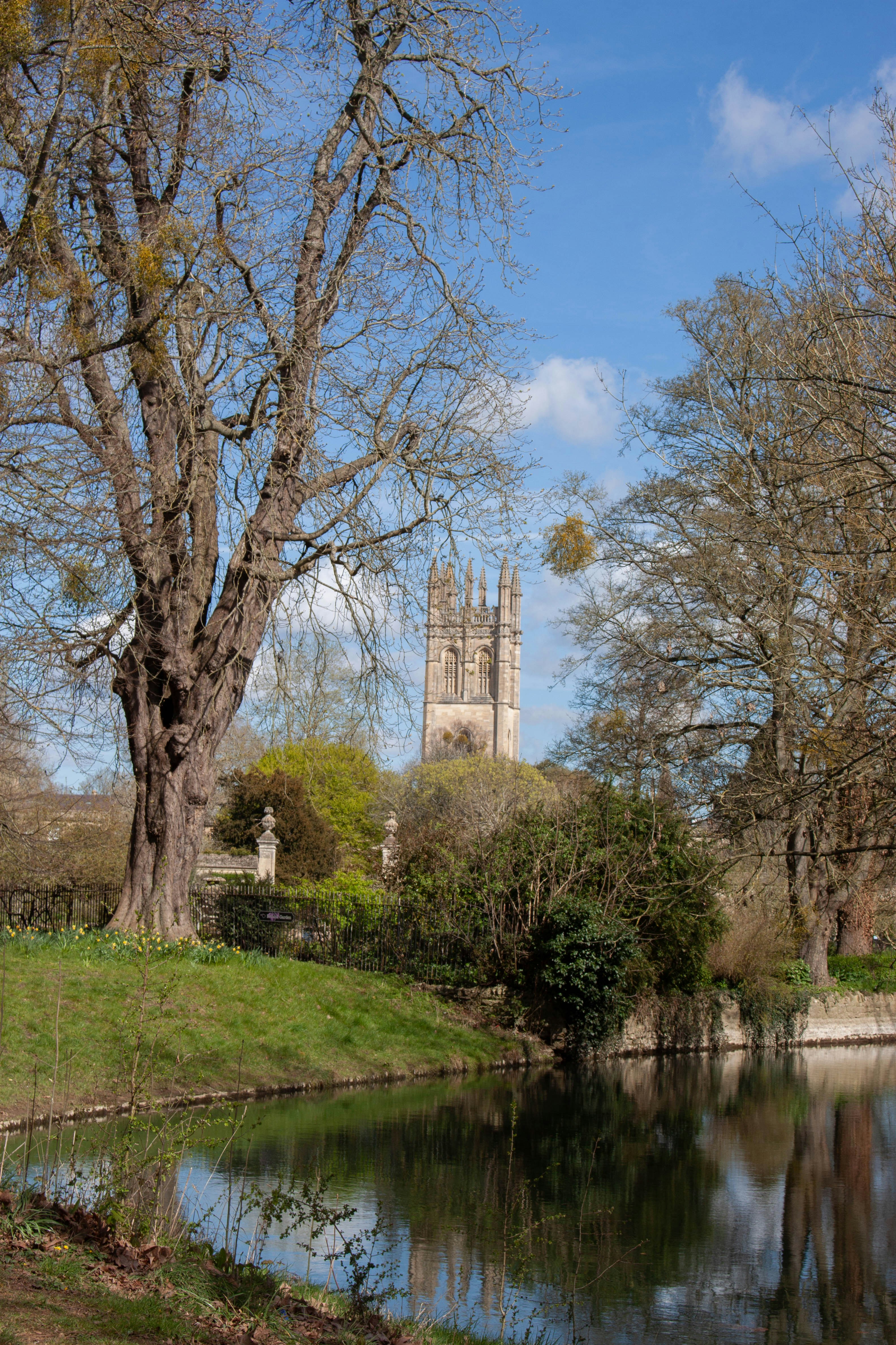Tower Rising Behind the Trees by the River