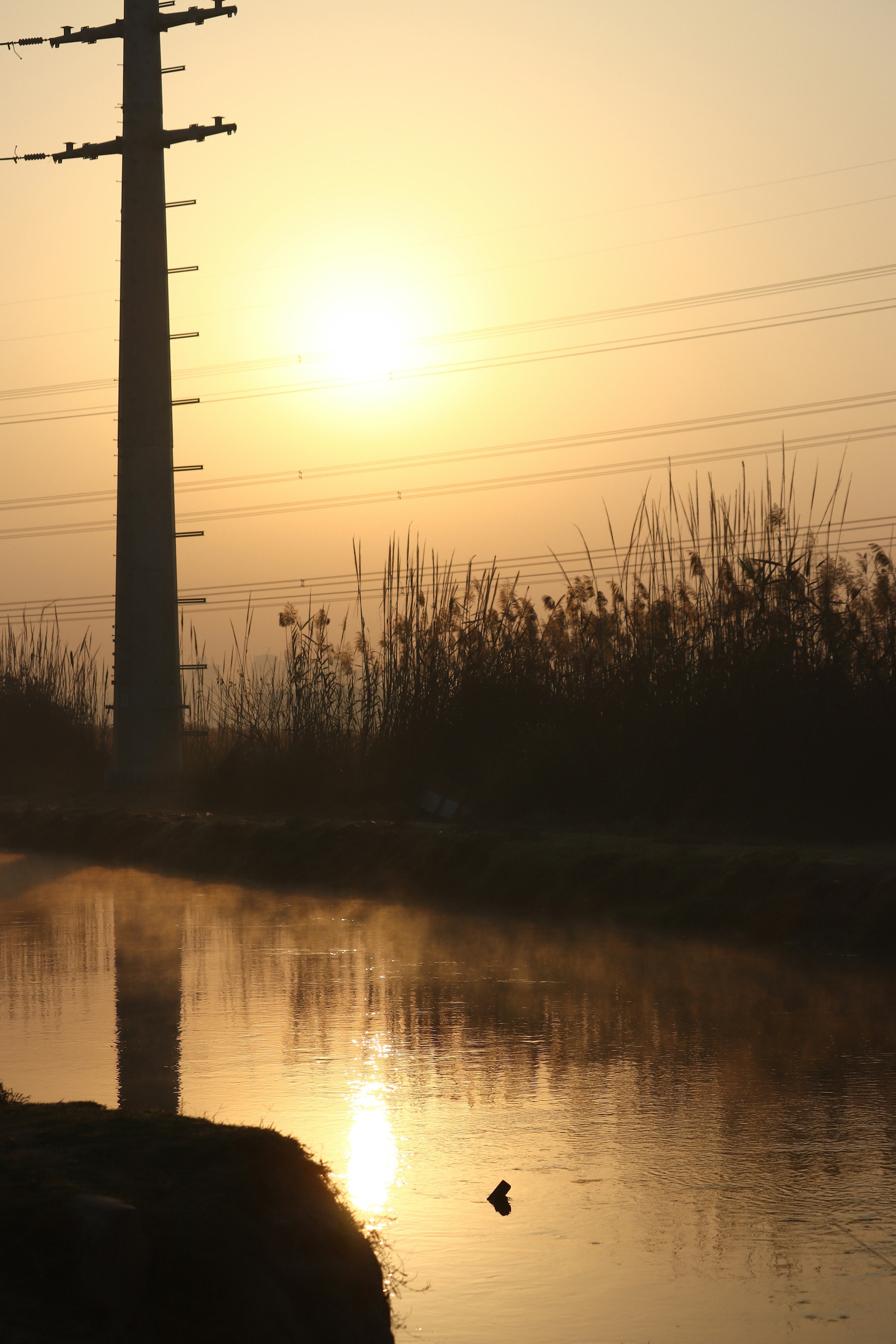 Silhouette of a Power Pole Against a Golden Dusk by the Still Water